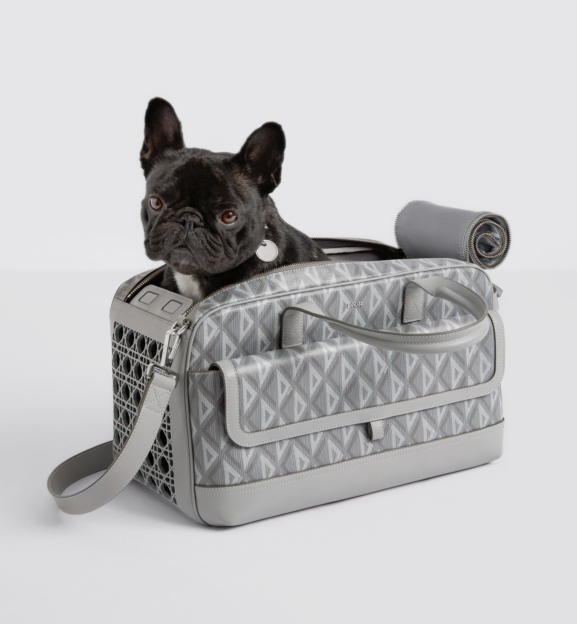 Dior Hit the Road Pet Carrier Bag Dior Gray Coated Cotton Canvas with ...
