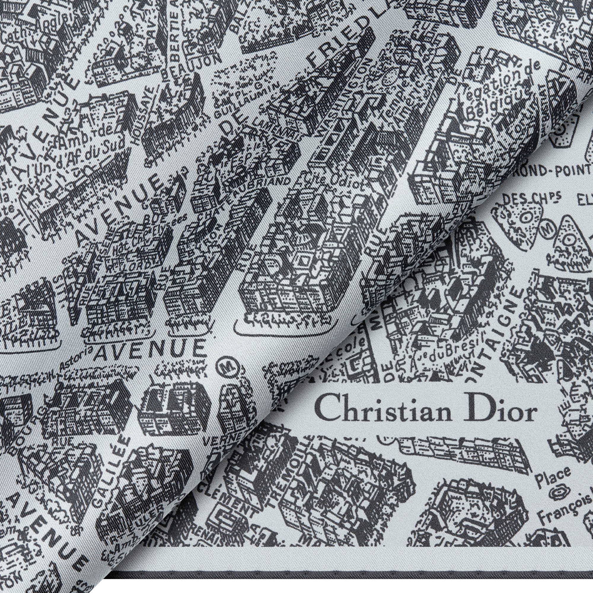 Plan de Paris Dior Diamond Gray and Black Silk Twill | DIOR