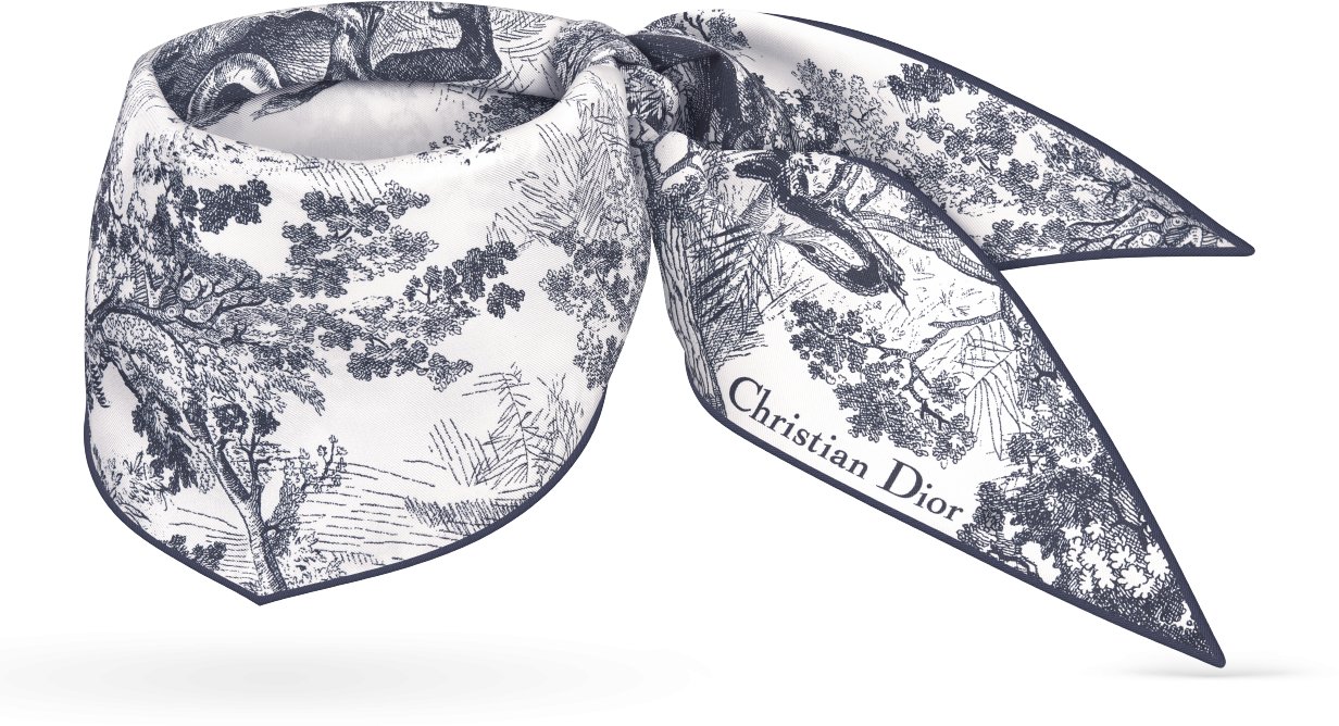 Toile de Jouy Sauvage Dior Diamond Ivory and Navy Blue Silk Twill | DIOR
