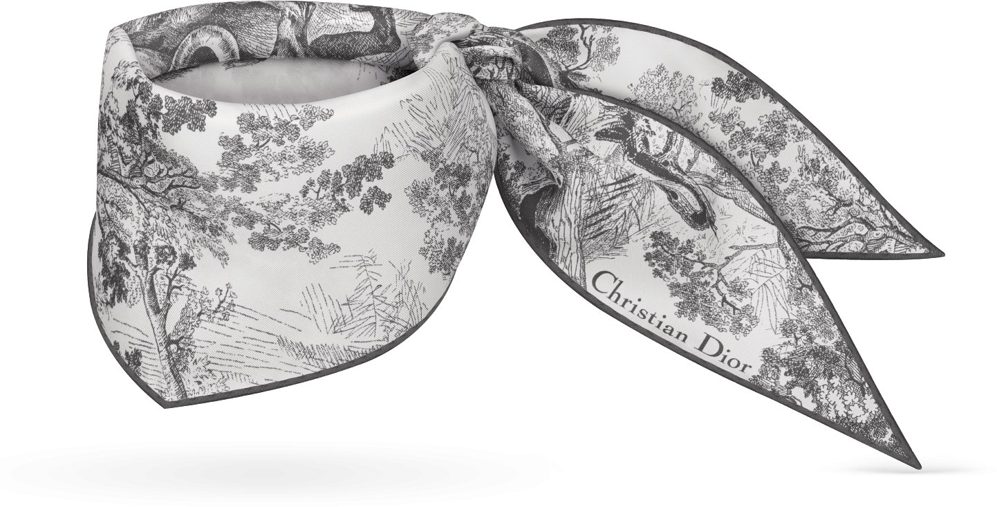 Dior Diamond Toile de Jouy Sauvage Twill de soie gris | DIOR