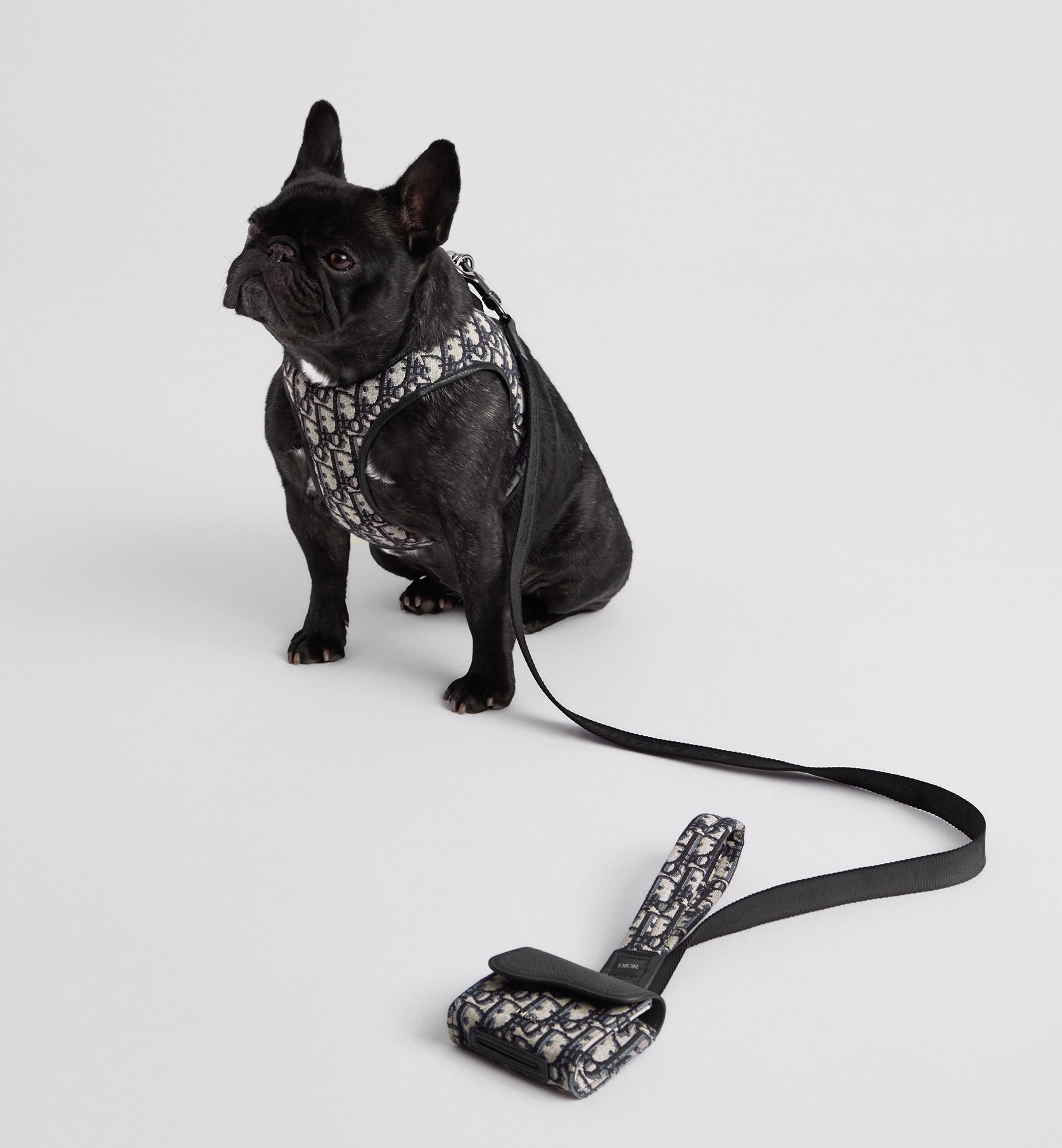 Pet Leash Black Nylon Jacquard with Beige and Black Dior Oblique ...