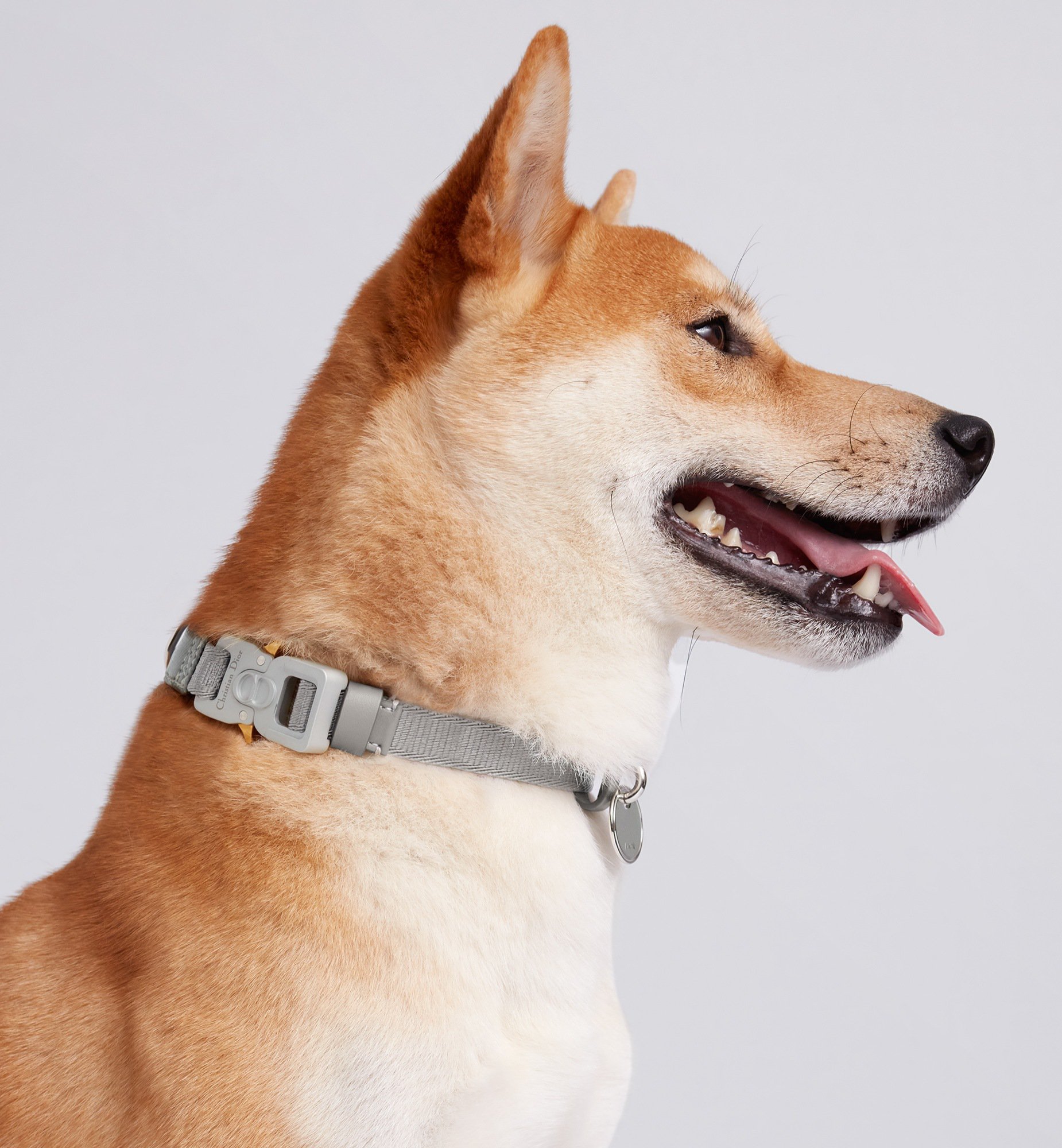 Pet Collar Dior Gray Coated Cotton Canvas with CD Diamond Print | DIOR