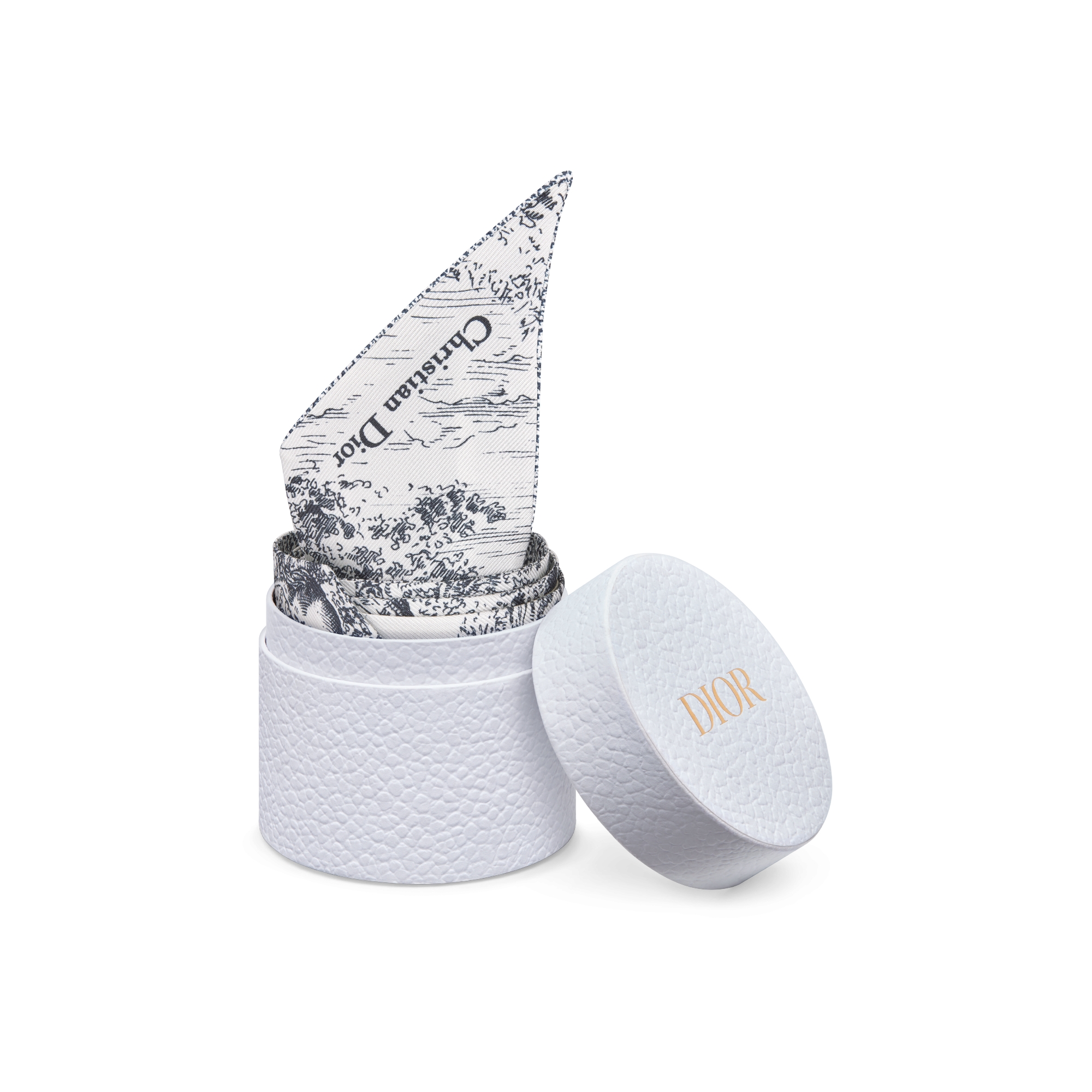 Toile de Jouy Scotland Mitzah Scarf White and Navy Blue Silk Twill | DIOR