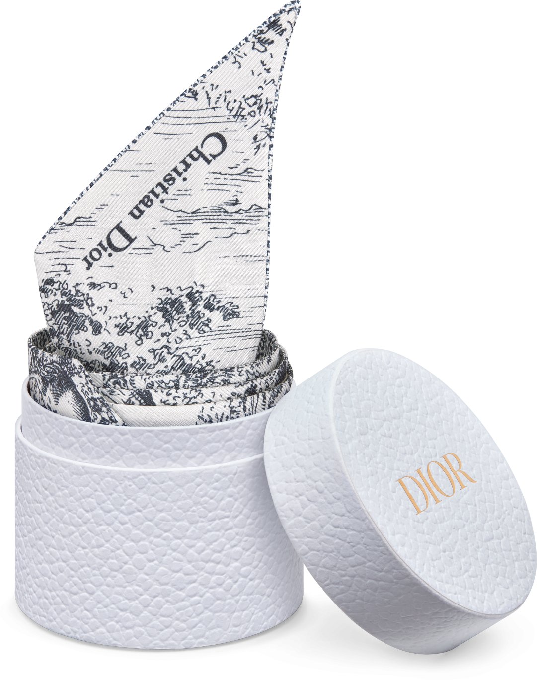 Toile de Jouy Scotland Mitzah Scarf White and Navy Blue Silk Twill | DIOR