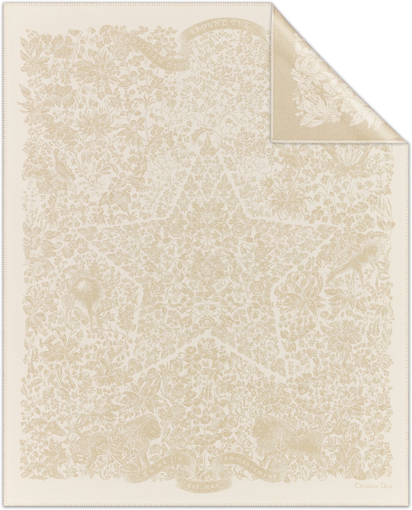 Scarves & Shawls - womens-fashion - Fashion & Accessories | DIOR