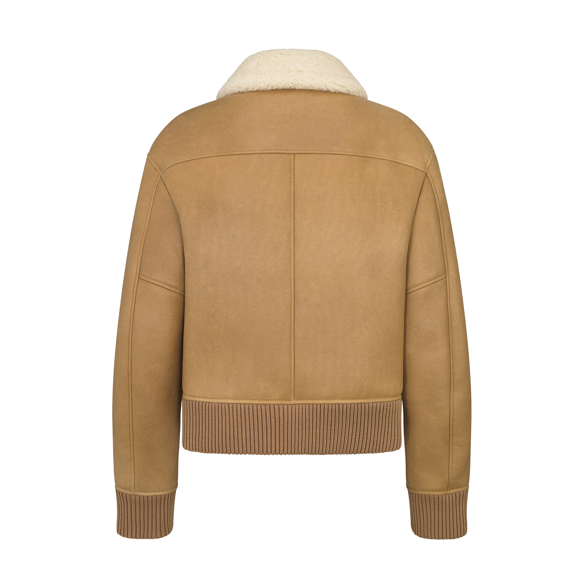Blouson Jacket Camel Lambskin and Ecru Lambskin Shearling | DIOR