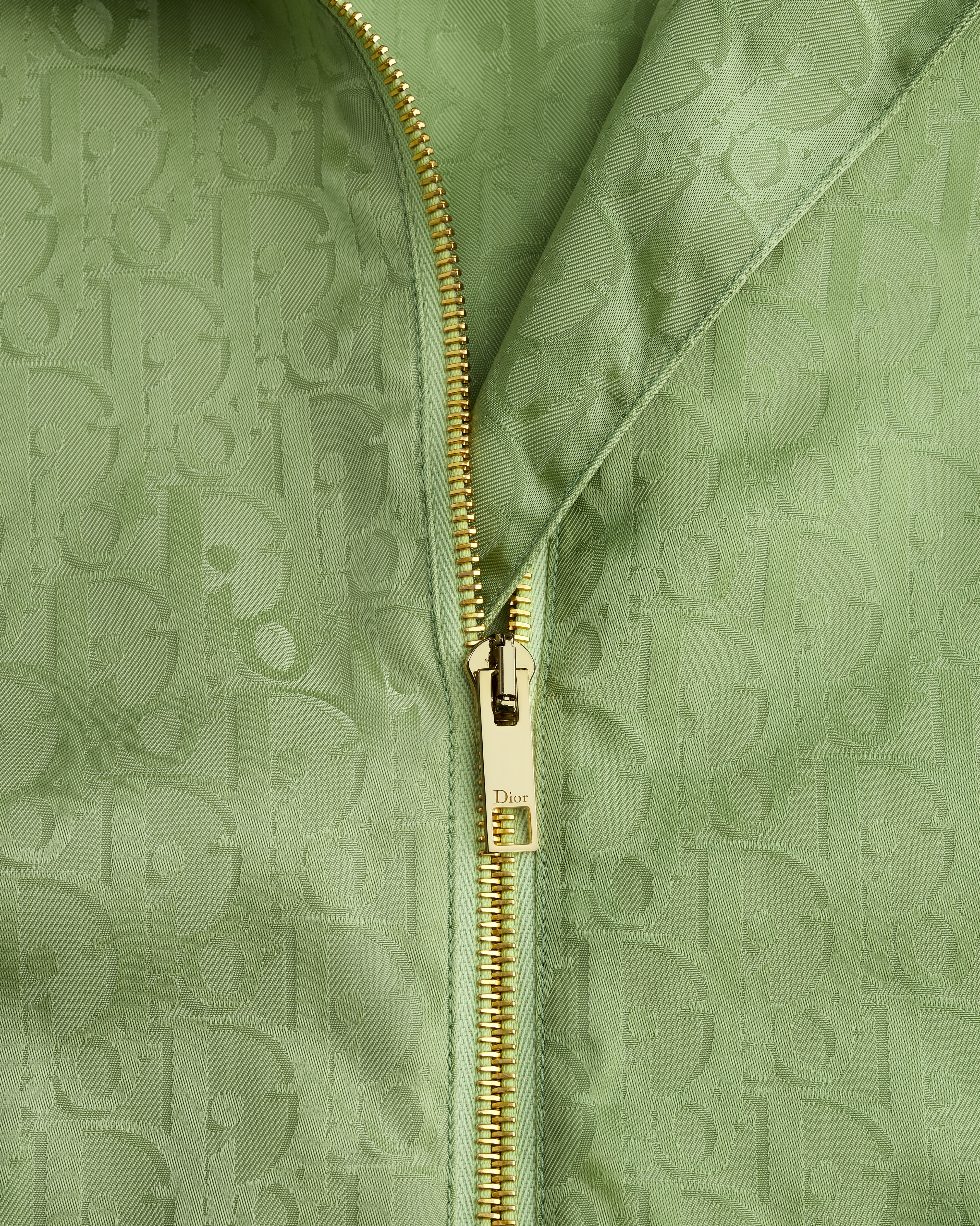 Zipped Jacket Green Dior Oblique Technical Taffeta | DIOR