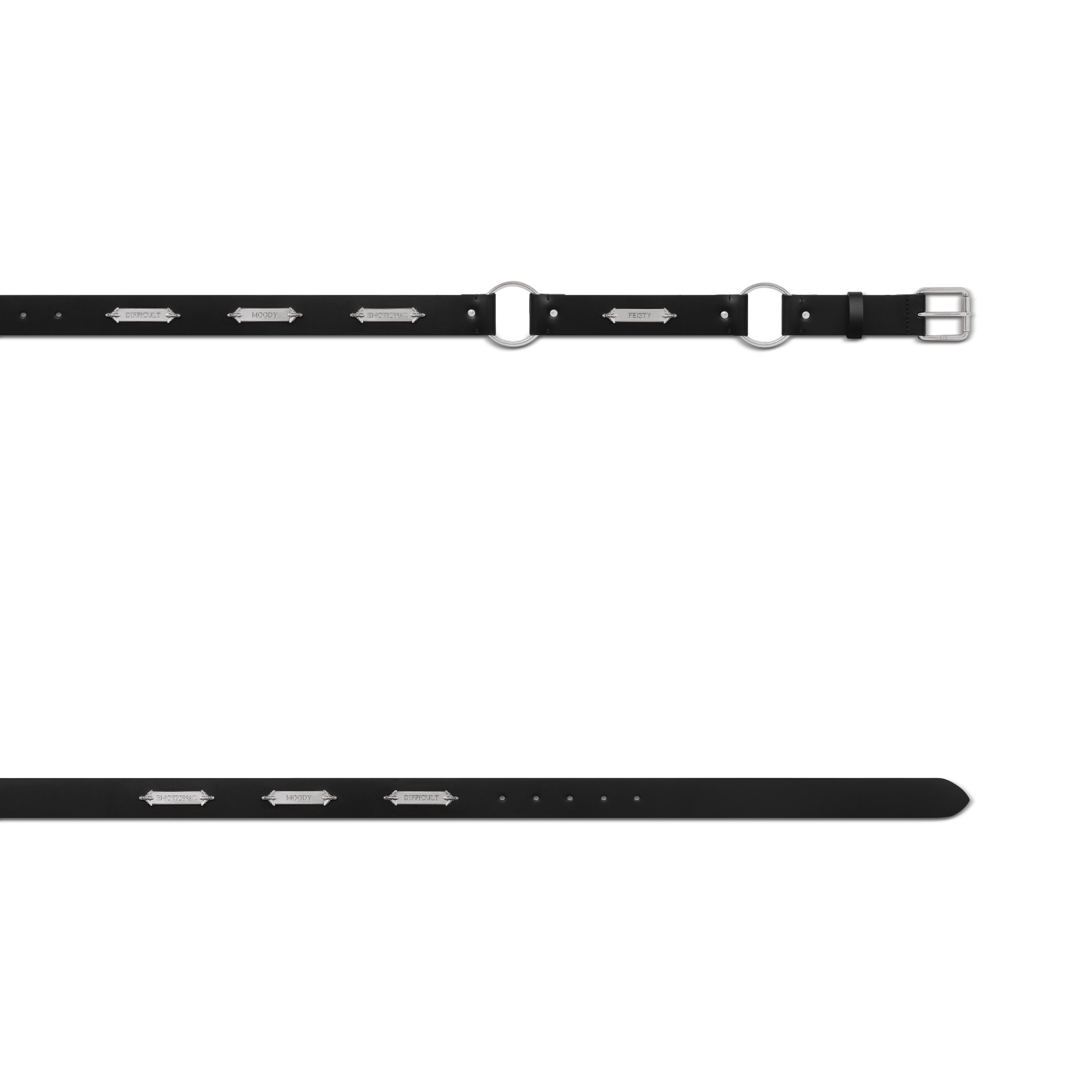 Dior Symbol Belt with Removable Pouch and Strap Black Smooth Calfskin ...