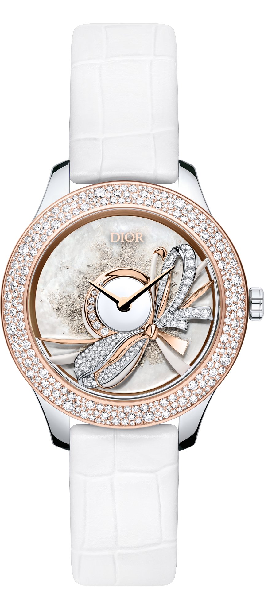 Dior Grand Bal Ruban Ø 36 mm, Automatic Movement | DIOR