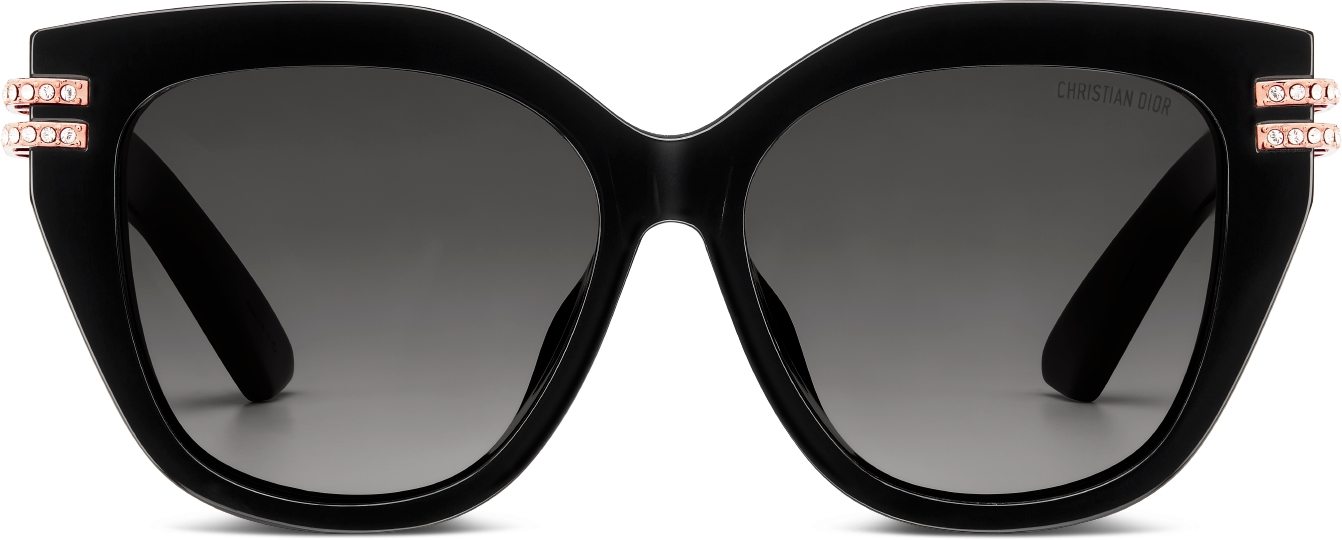 CDior B4F Black Butterfly Sunglasses | DIOR