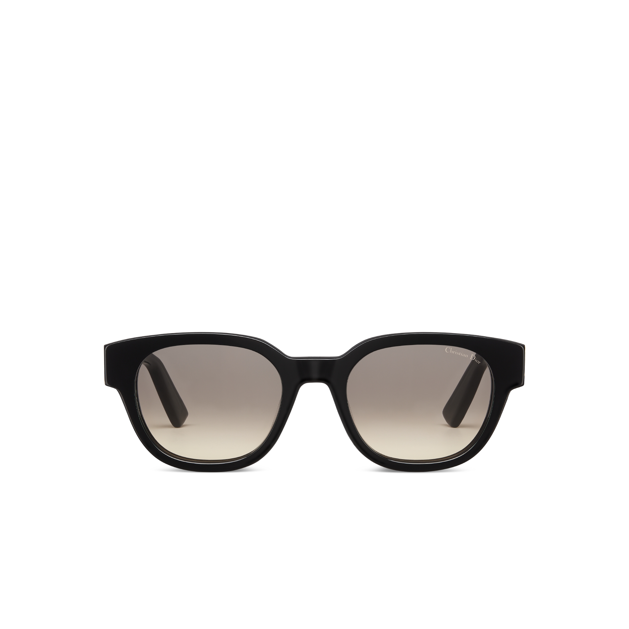 Christian Dior Label R1I Lunettes de soleil pantos noires et beiges | DIOR
