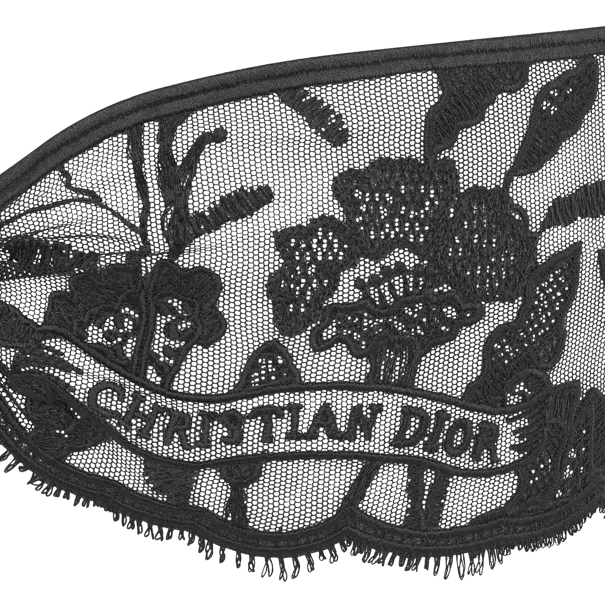 Dioreve Mask Black Embroidered Tulle | DIOR