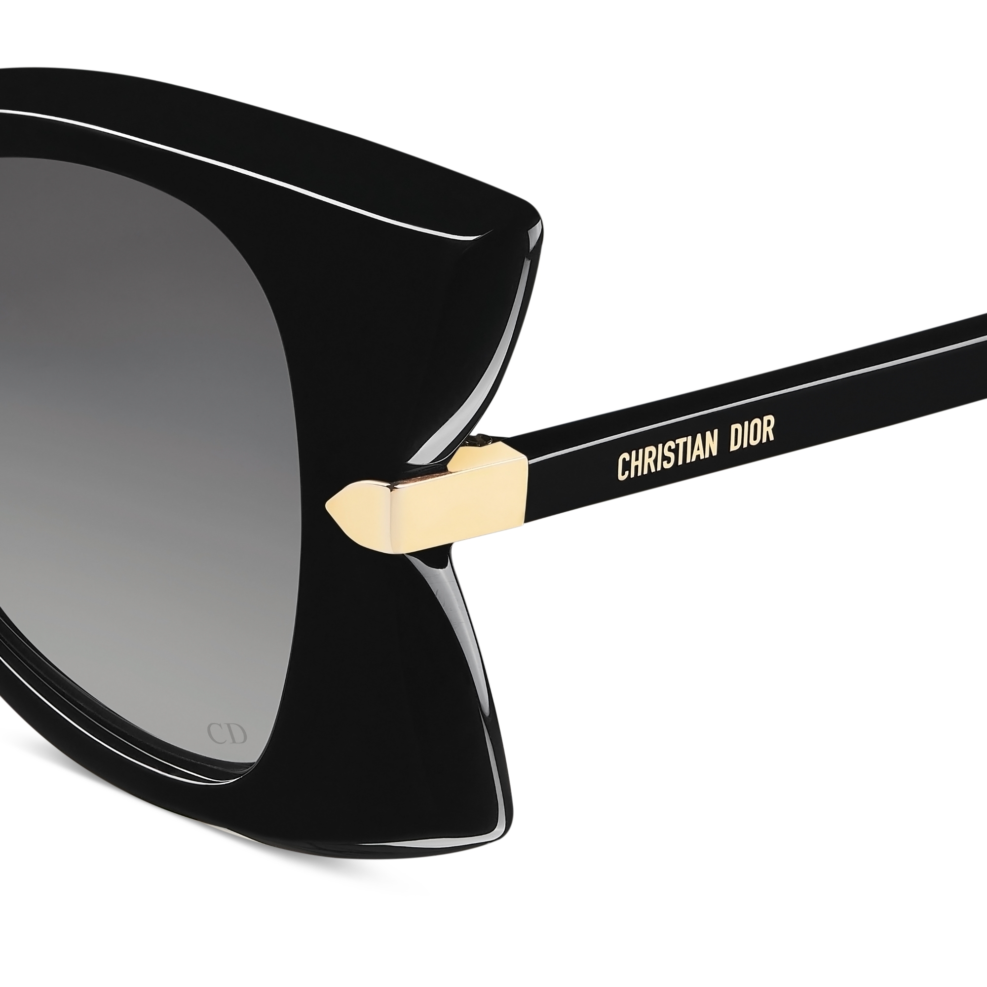 DiorButterfly S1F Black Rectangular Sunglasses | DIOR