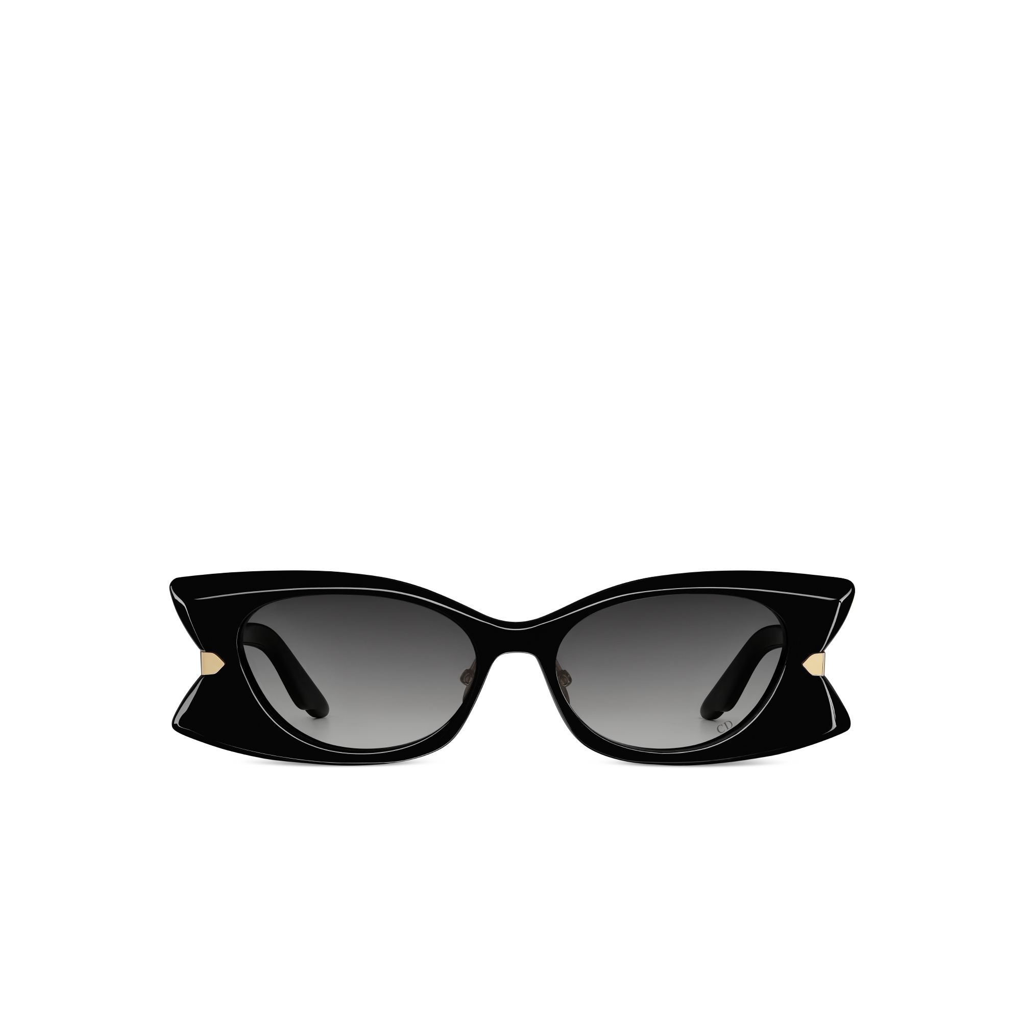 DiorButterfly S2F Black Rectangular Sunglasses | DIOR