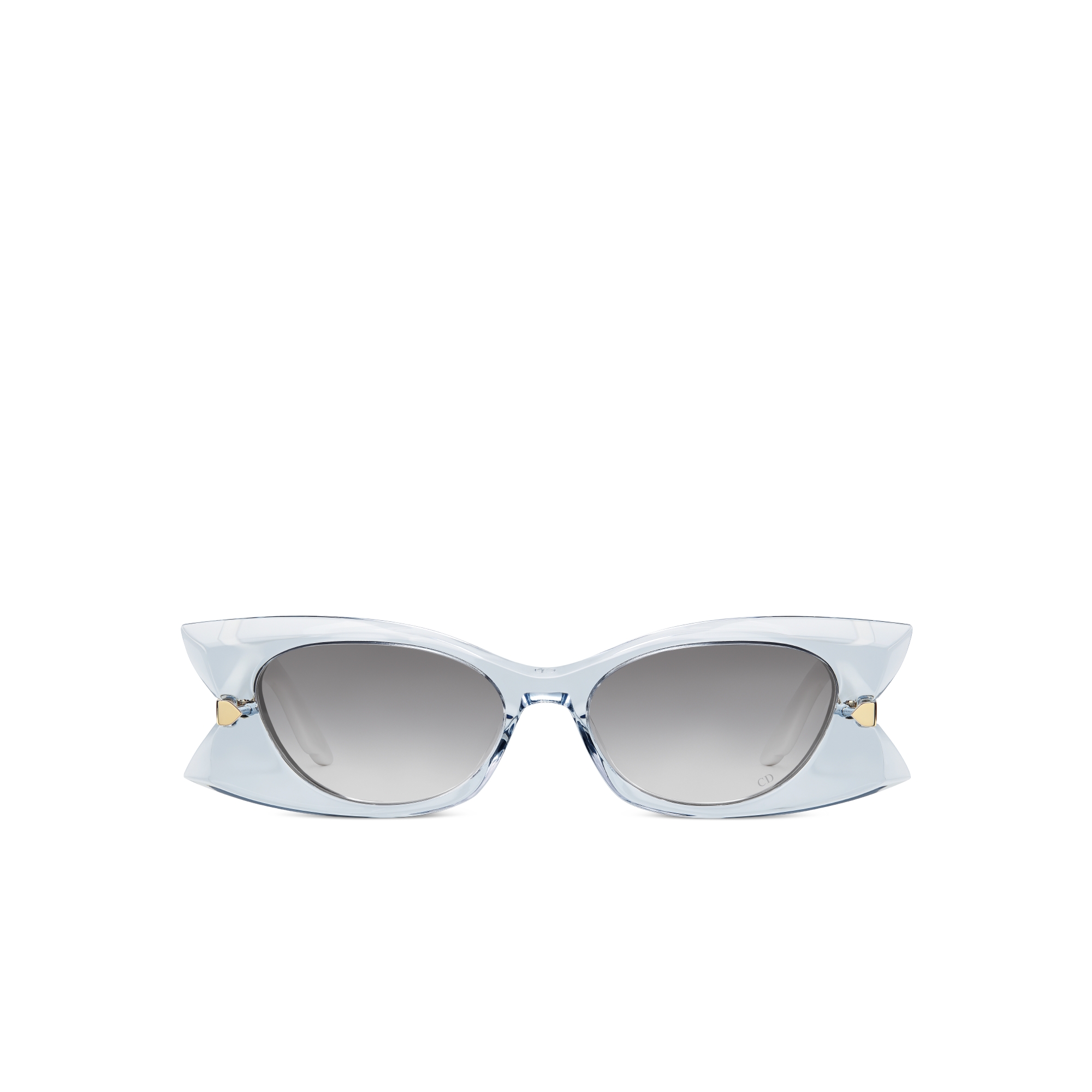 DiorButterfly S2I Transparent Blue Rectangular Sunglasses | DIOR