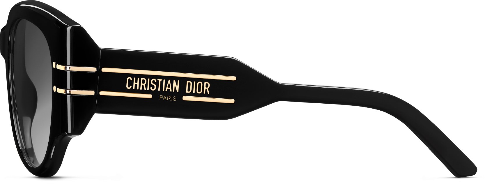 DiorSignature R2I Black Rounded Sunglasses | DIOR