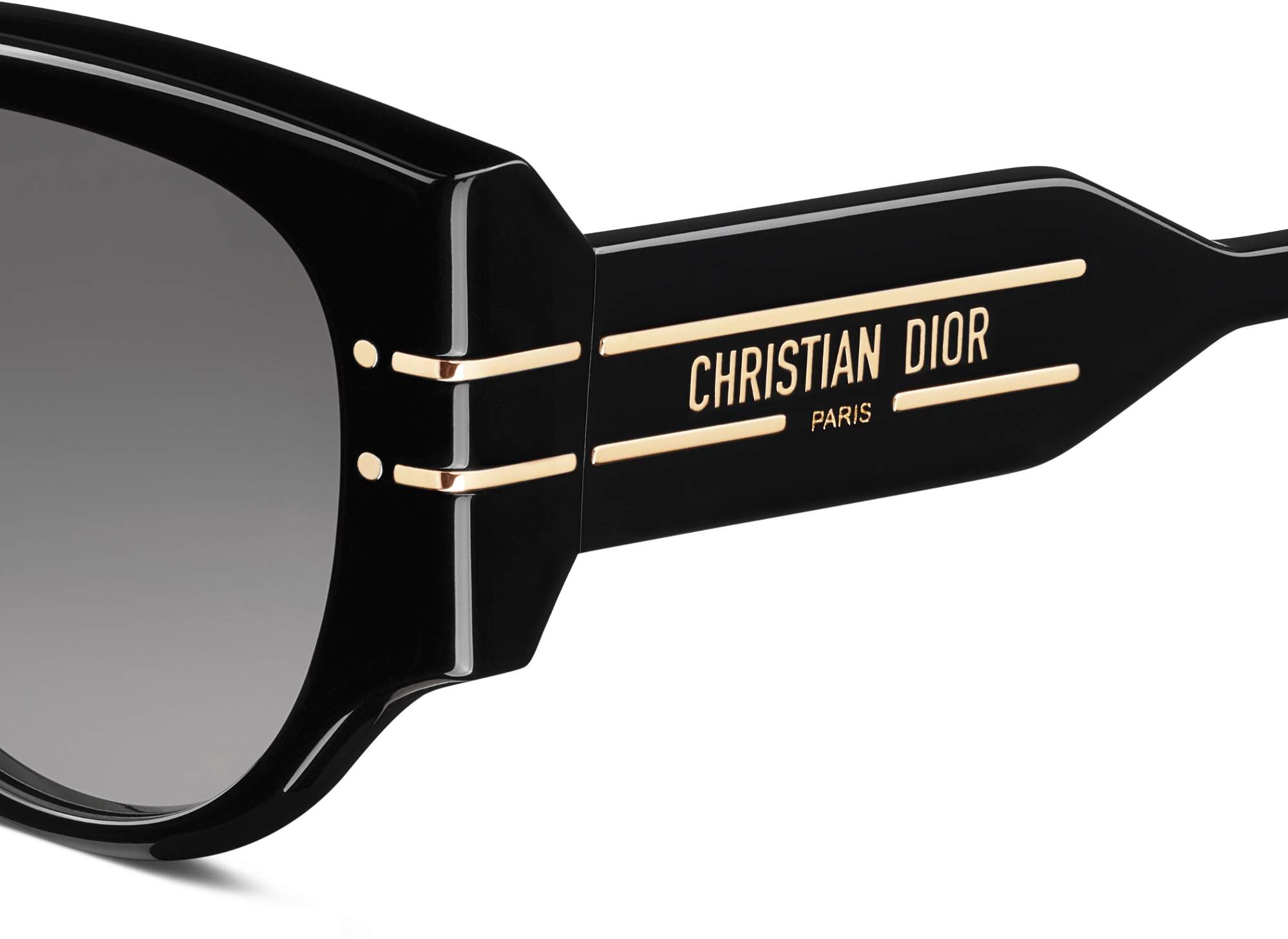 DiorSignature R2I Black Rounded Sunglasses | DIOR