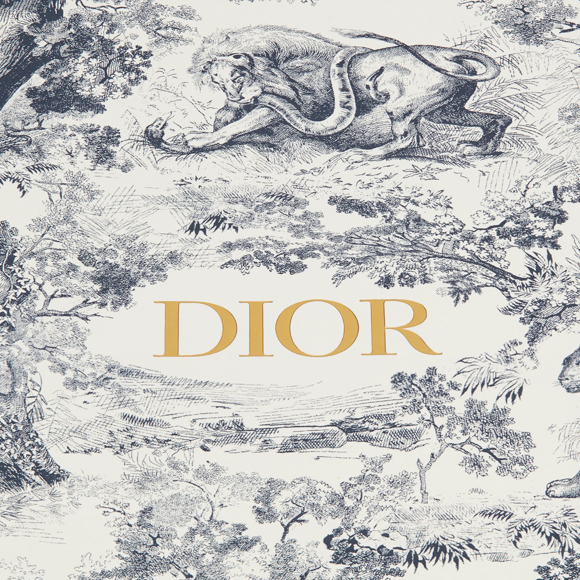 Large Notebook Blue Toile de Jouy | DIOR