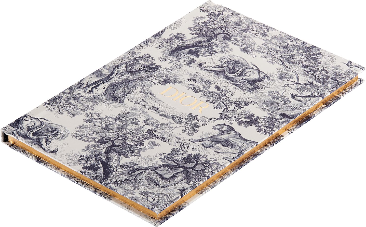 Notebook Blue Toile de Jouy | DIOR