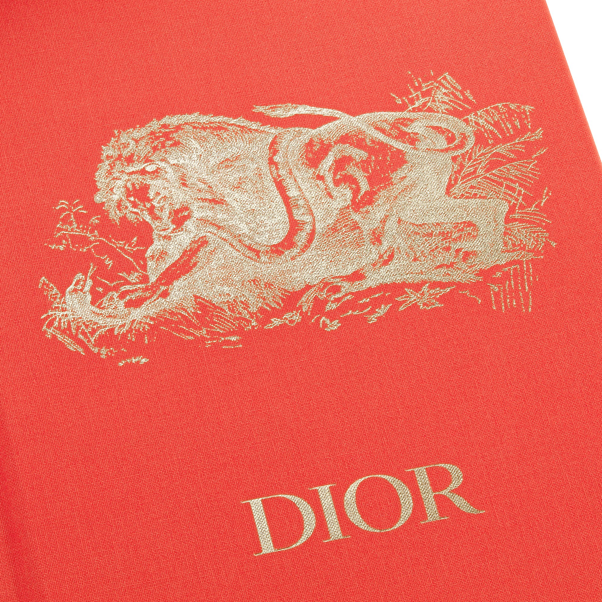 Notebook Dioriviera, Coral | DIOR