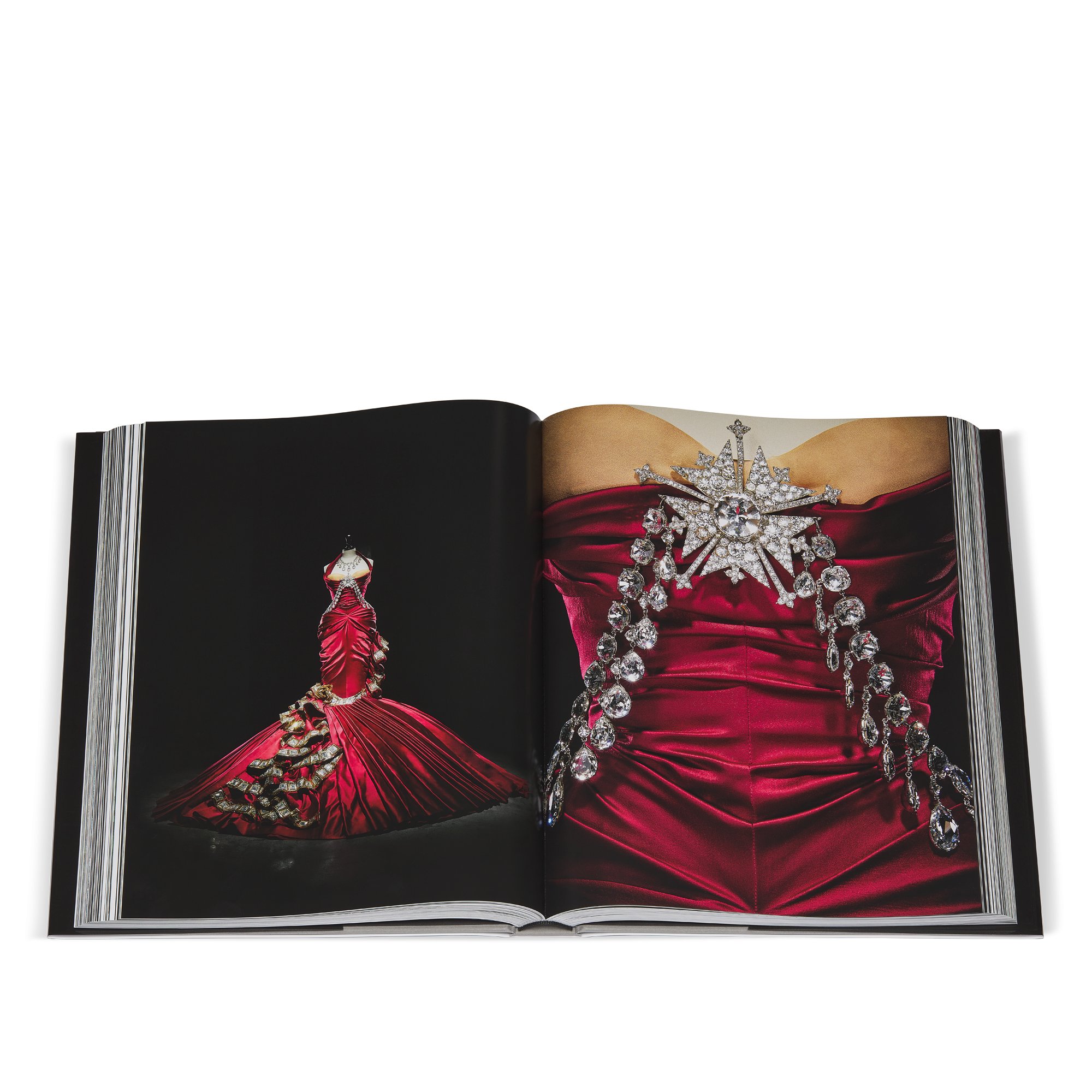 Boek: Dior par John Galliano Franstalige versie | DIOR