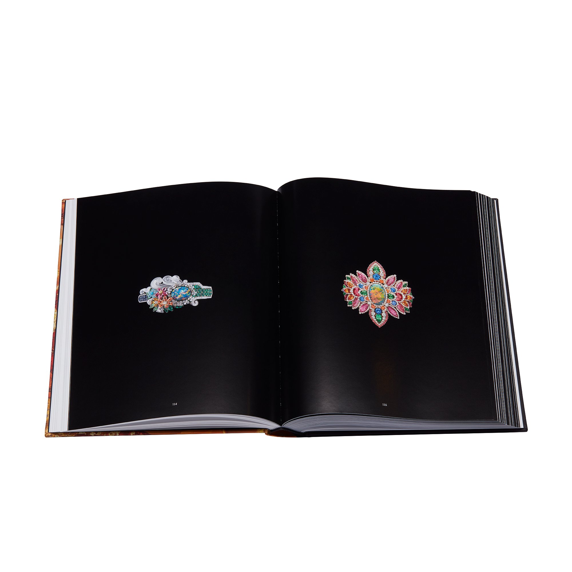 Libro: Dior Joaillerie (The A to Z of Victoire de Castellane) Versione ...