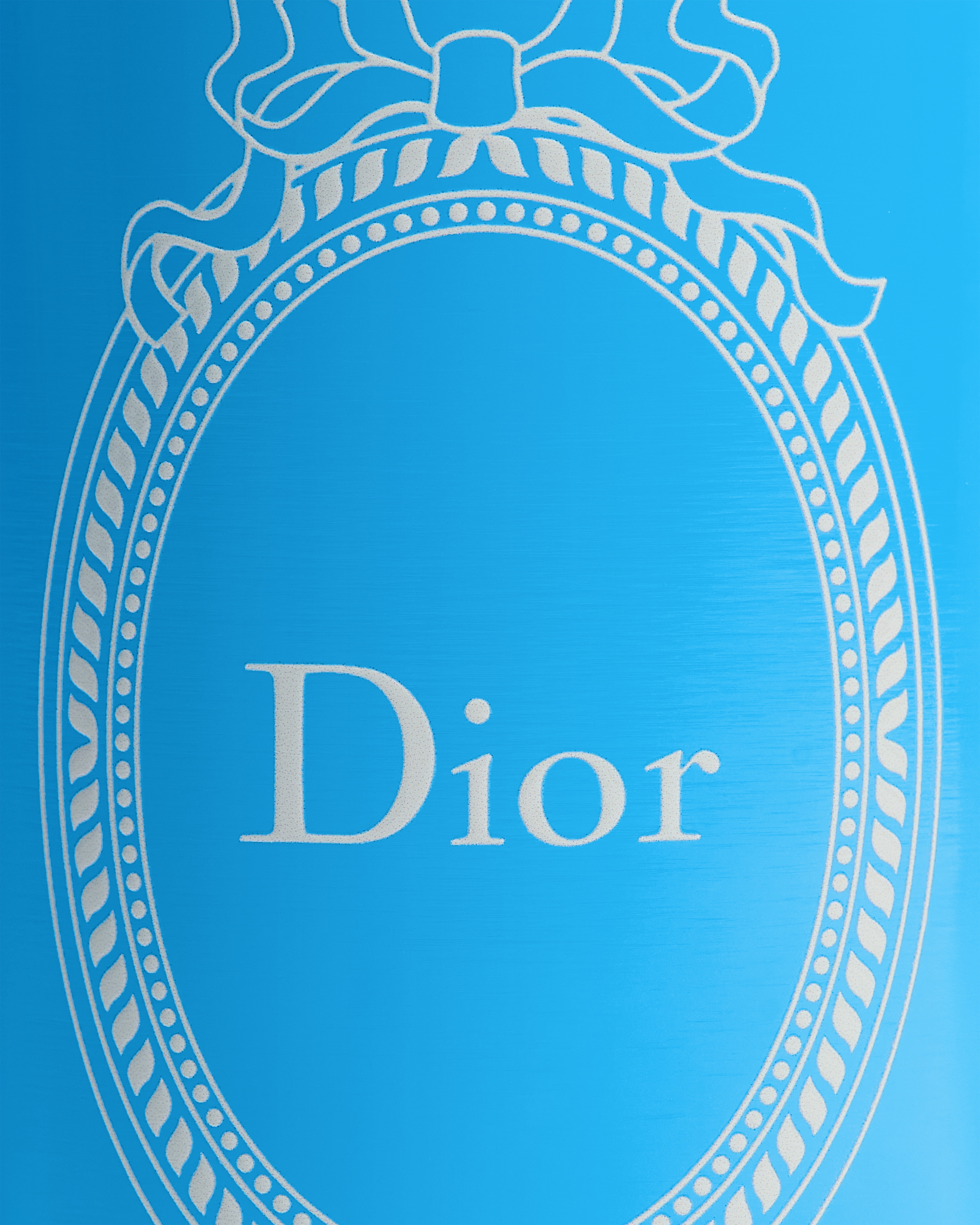 Travel Mug Blue Stainless Steel with Light Pink Dior Médaillon Motif | DIOR