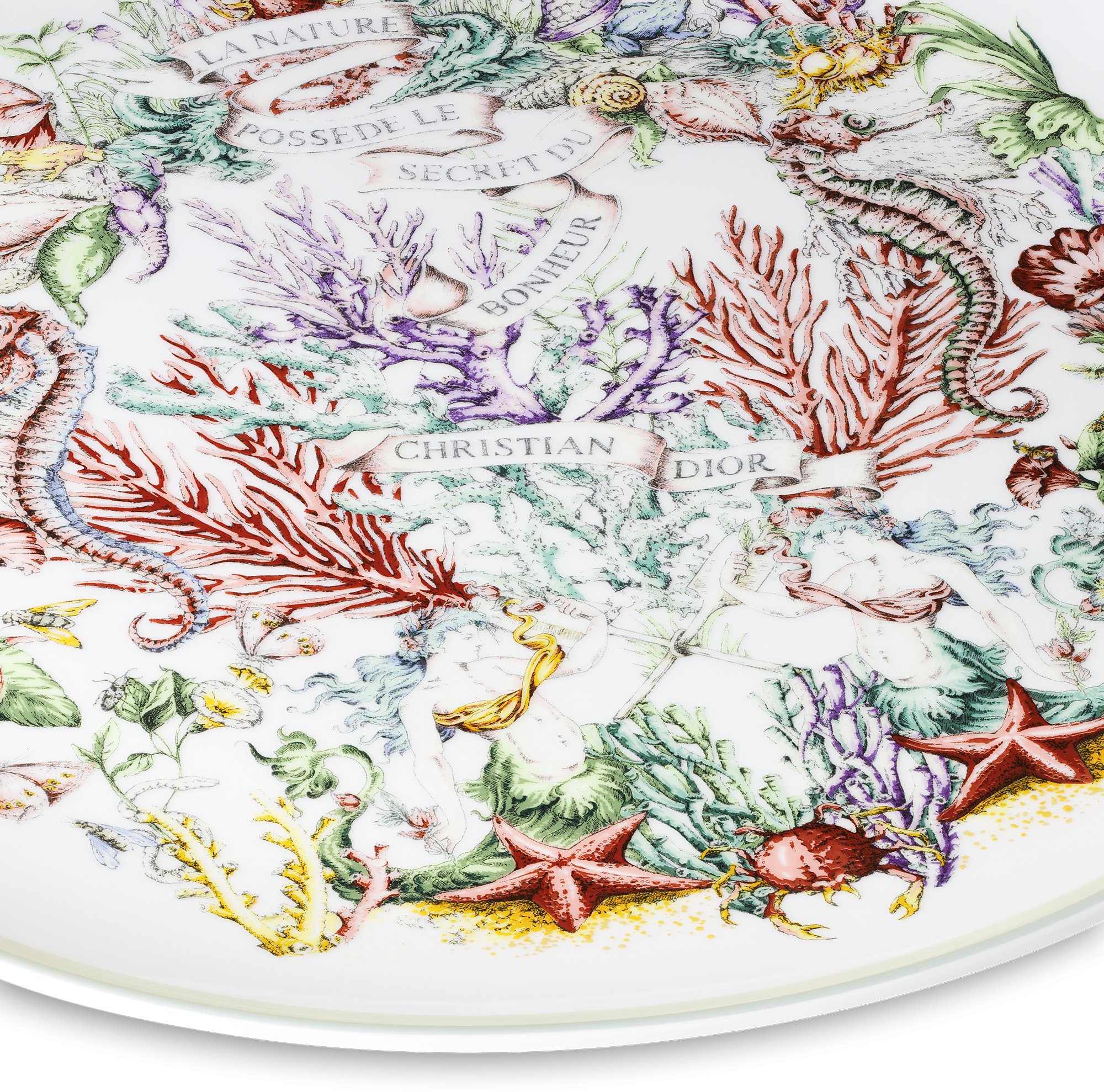 Dinner Plate White Limoges Porcelain with Multicolor Dior Cabinet de la ...