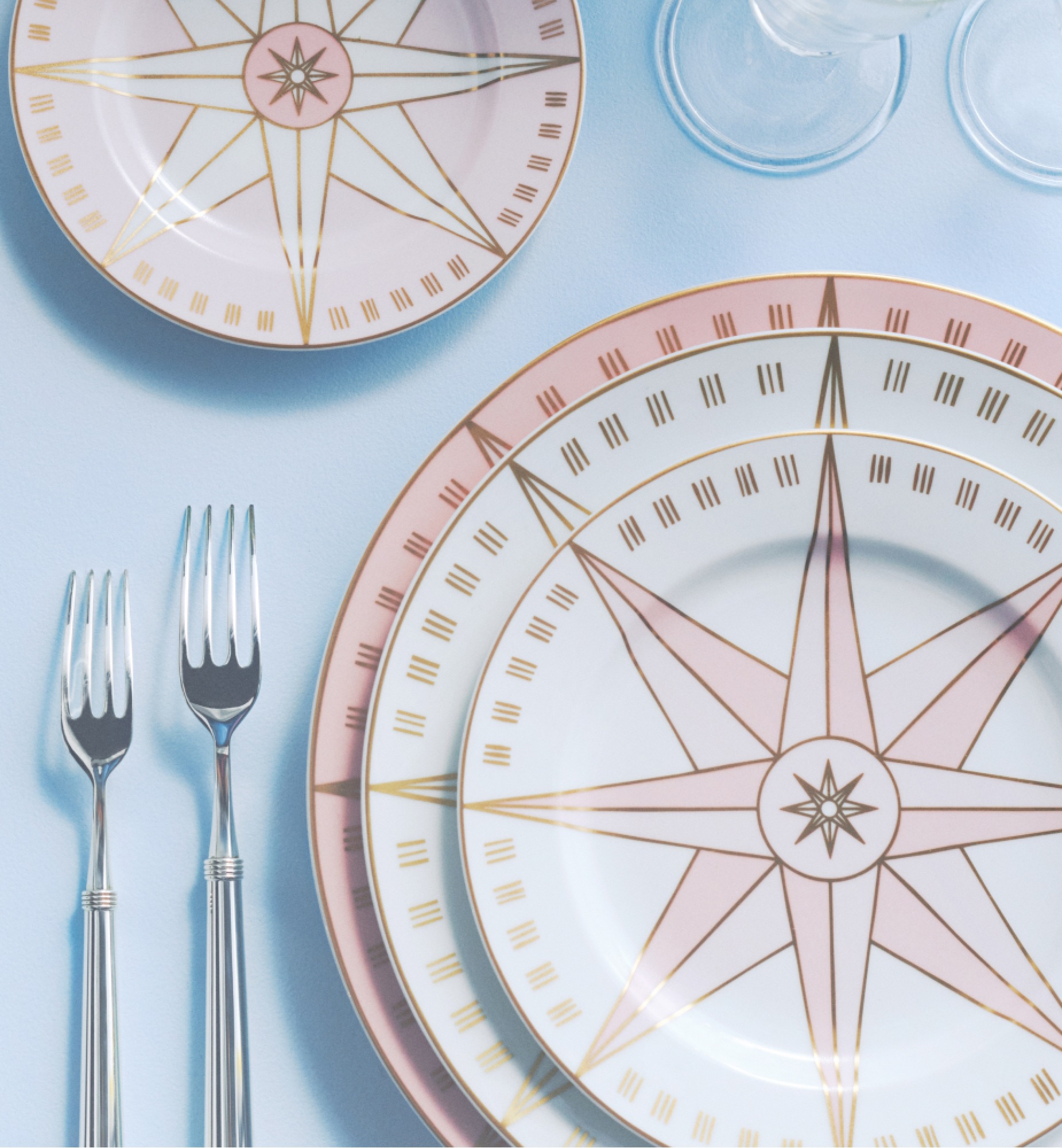 Bijbord Rozenkwarts windroos | DIOR