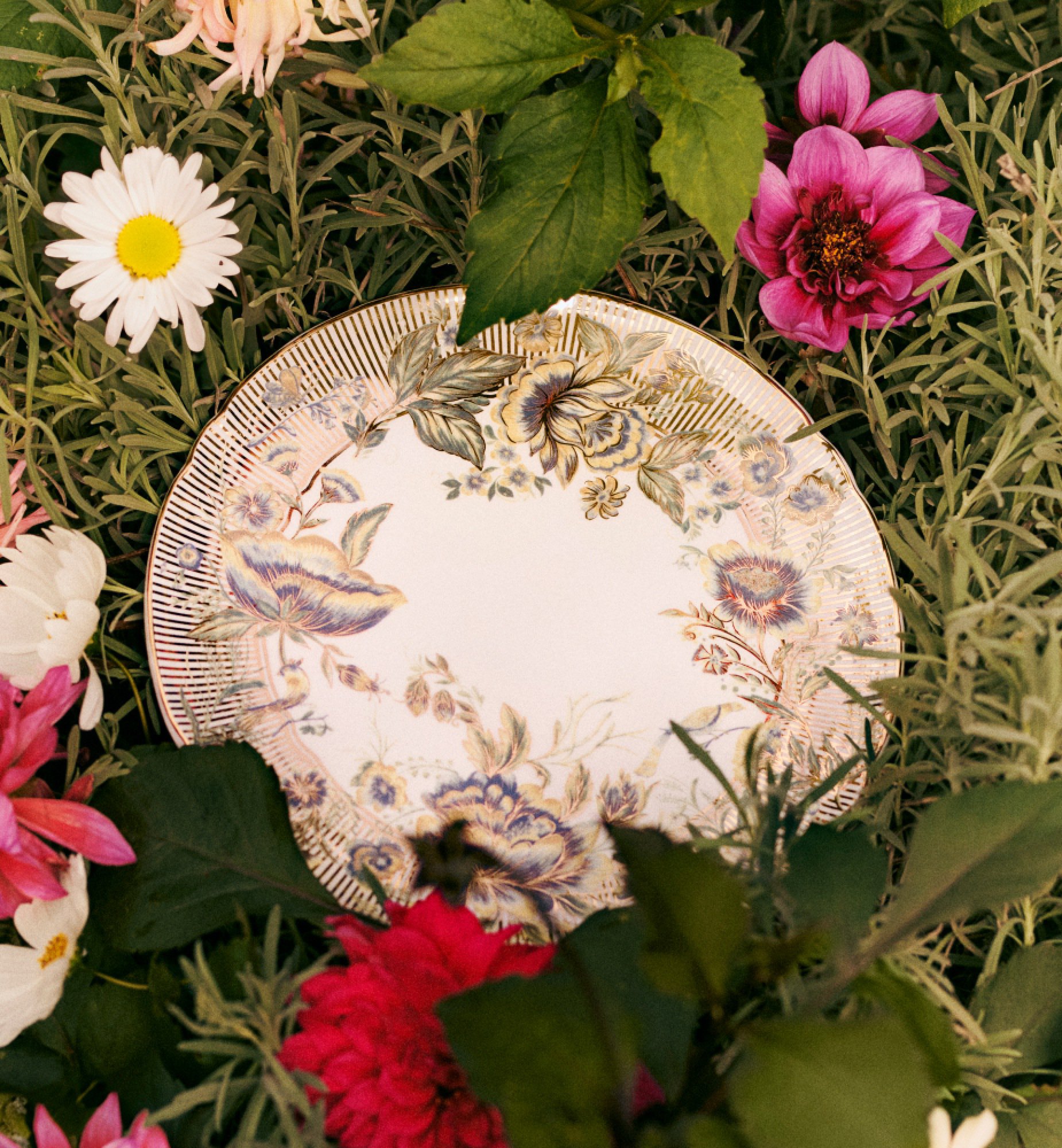 Dinner Plate Roses d'Hiver, Blue | DIOR