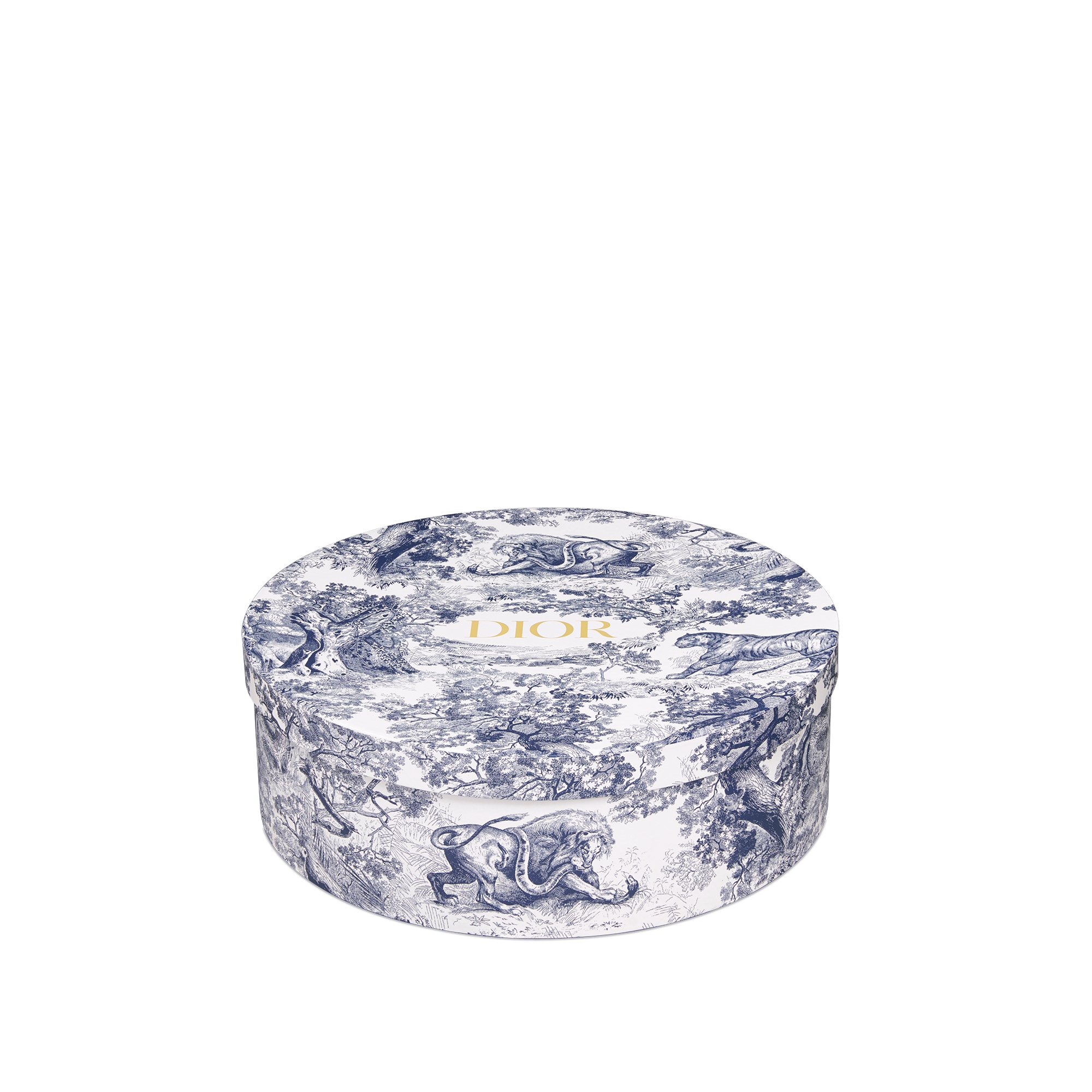 Set of Six Dinner Plates Toile de Jouy, Blue | DIOR