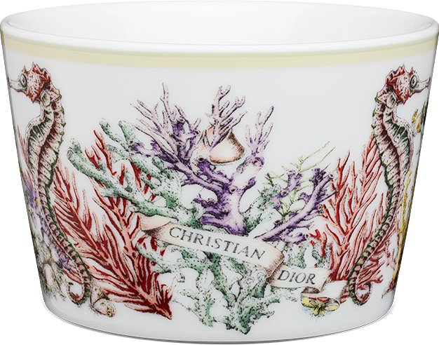 Teacup White Limoges Porcelain with Multicolor Dior Cabinet de la Mer ...