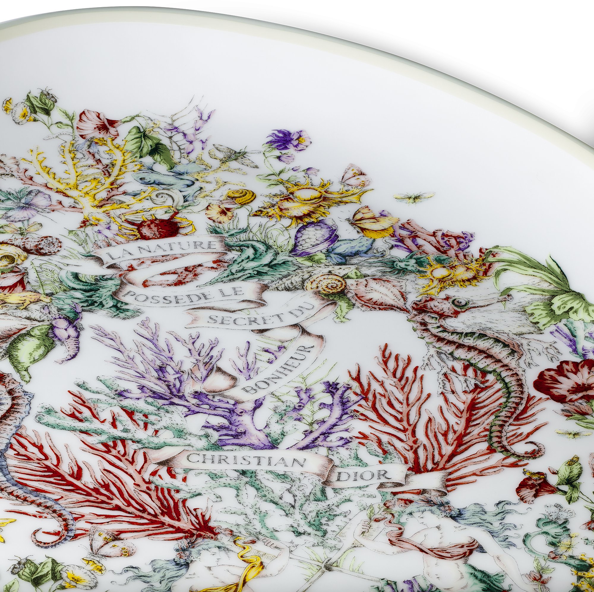 Oval Platter White Limoges Porcelain with Multicolor Dior Cabinet de la ...
