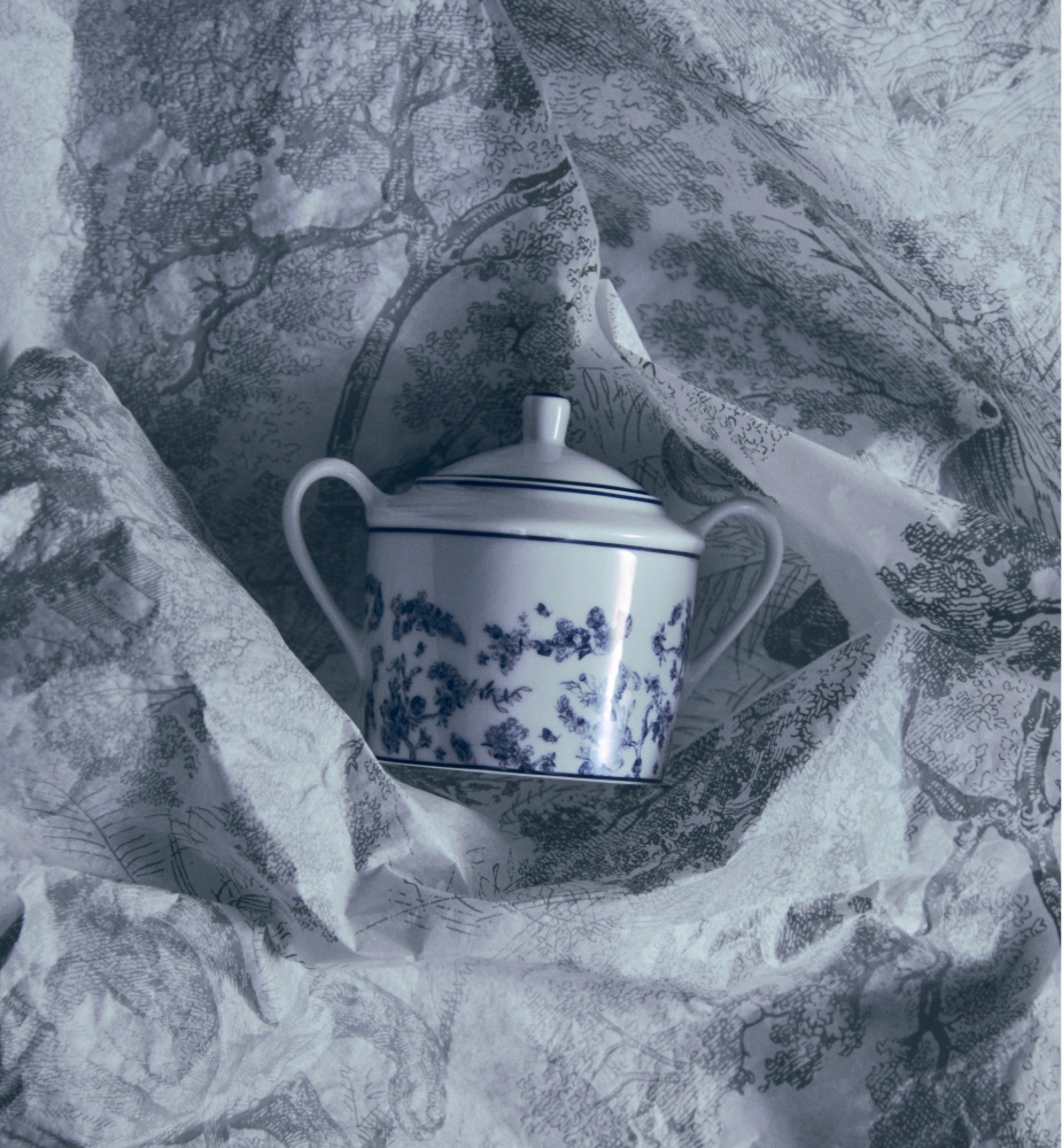 Azucarera Toile de Jouy azul | DIOR