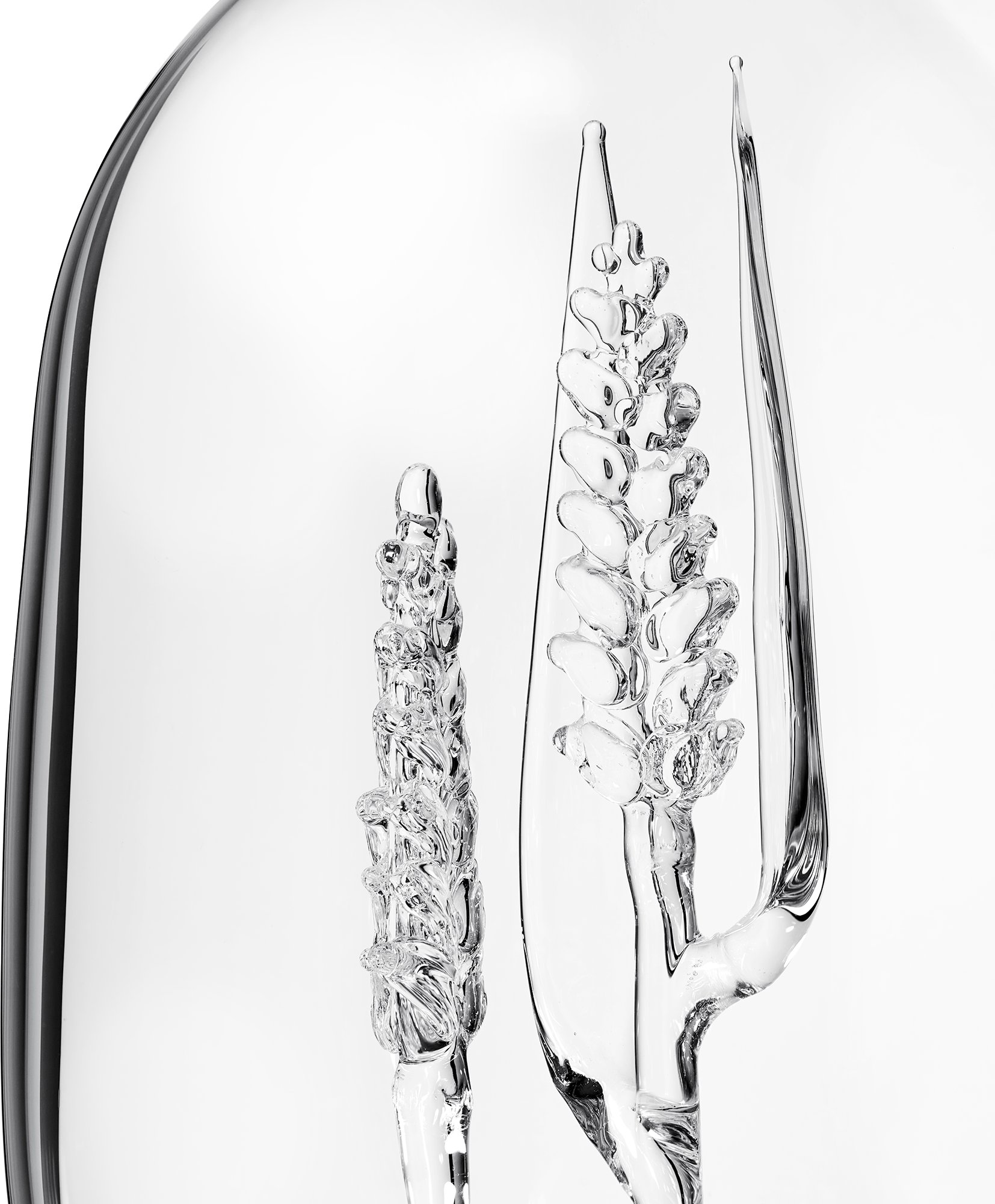 Carafe Cruise 2020 in Collaboration with Sam Baron with Transparent ...