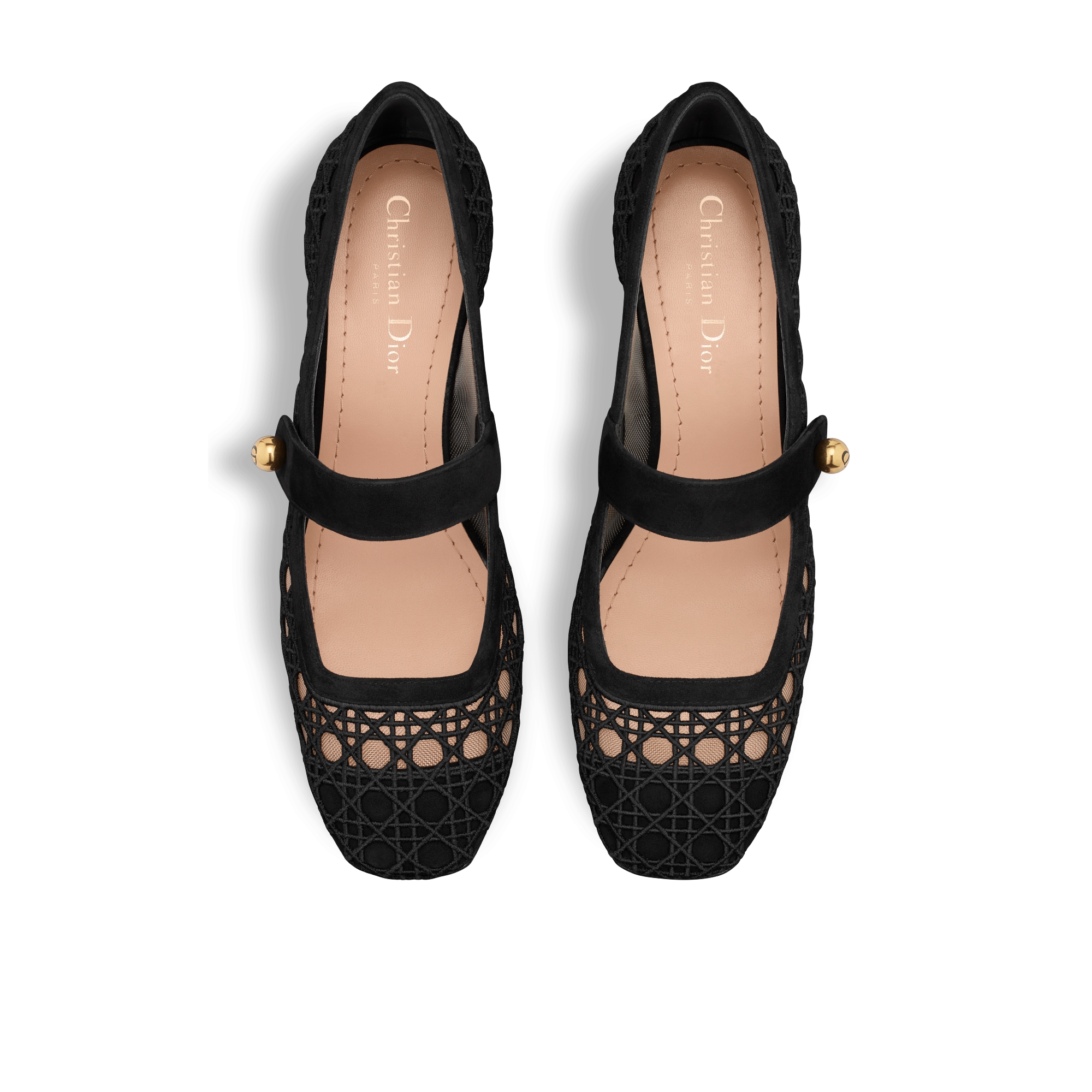 Dior Icon Pump Transparent Mesh Embroidered with Black Cannage Motif ...