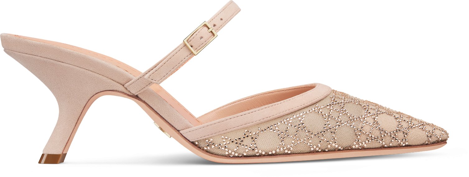 Dior Capture Heeled Mule Transparent Mesh with Strass Cannage Motif and ...