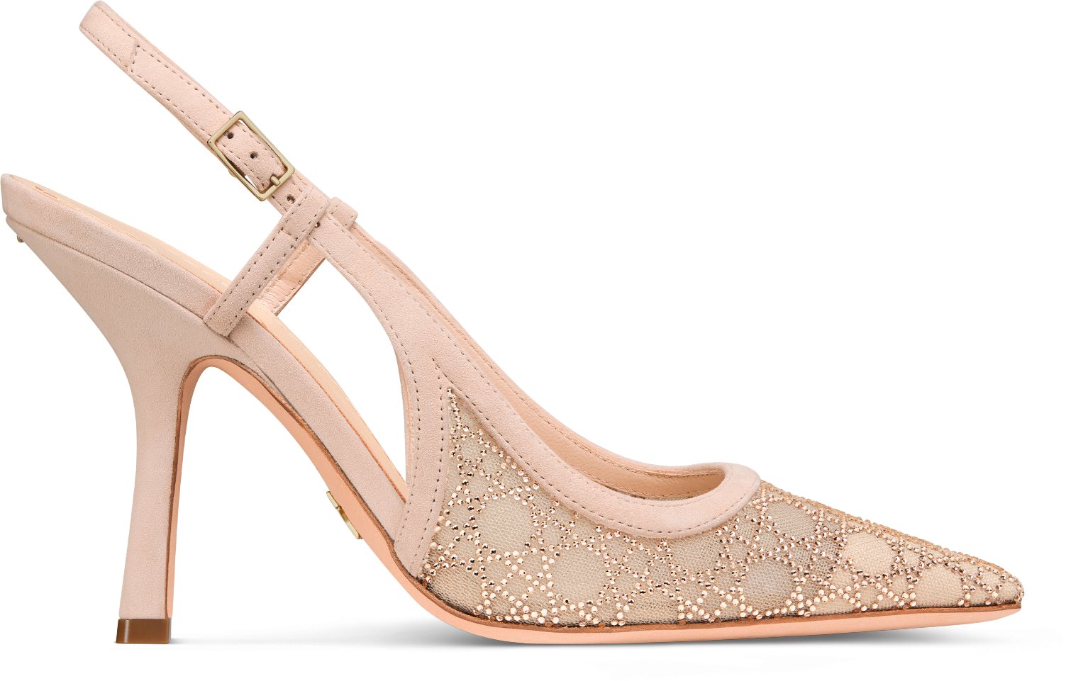 Dior Capture Slingback Pump Transparent Mesh with Strass Cannage Motif ...