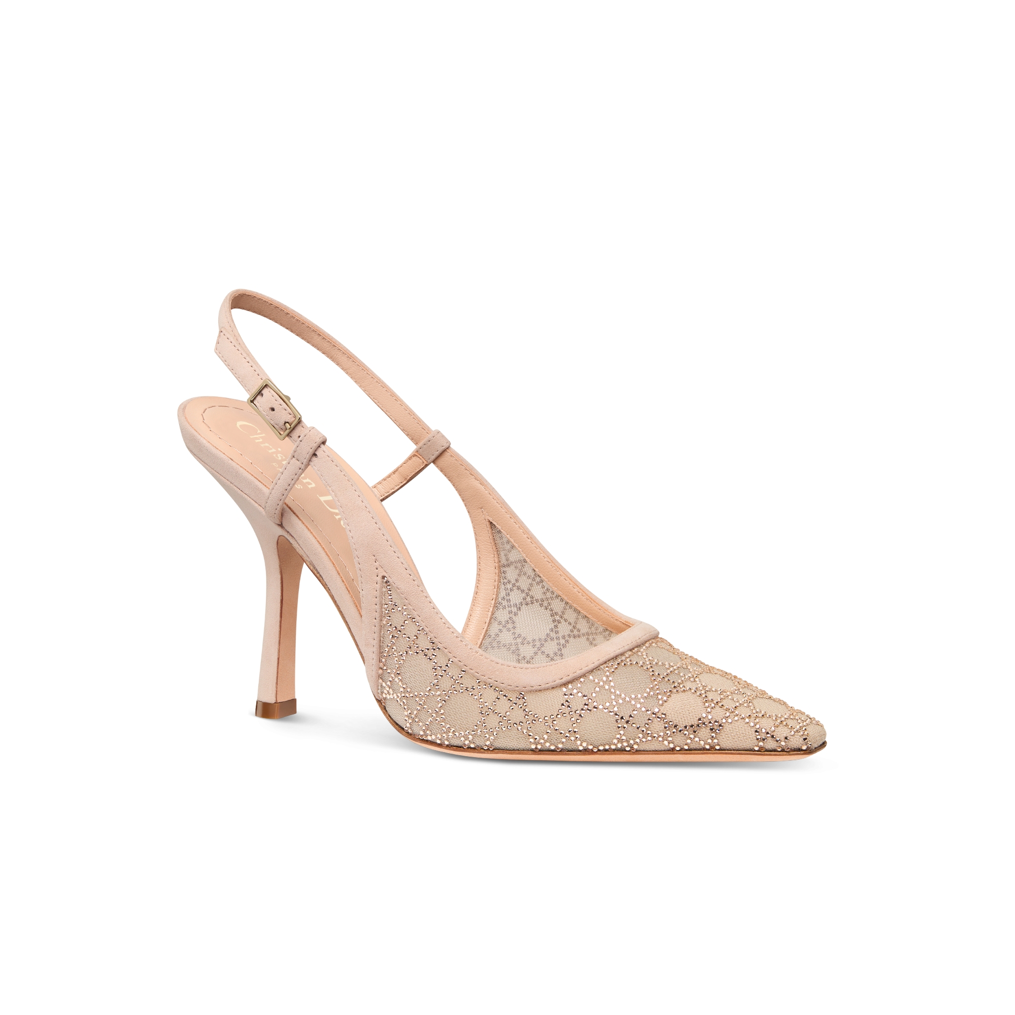 Dior Capture Slingback Pump Transparent Mesh with Strass Cannage Motif ...