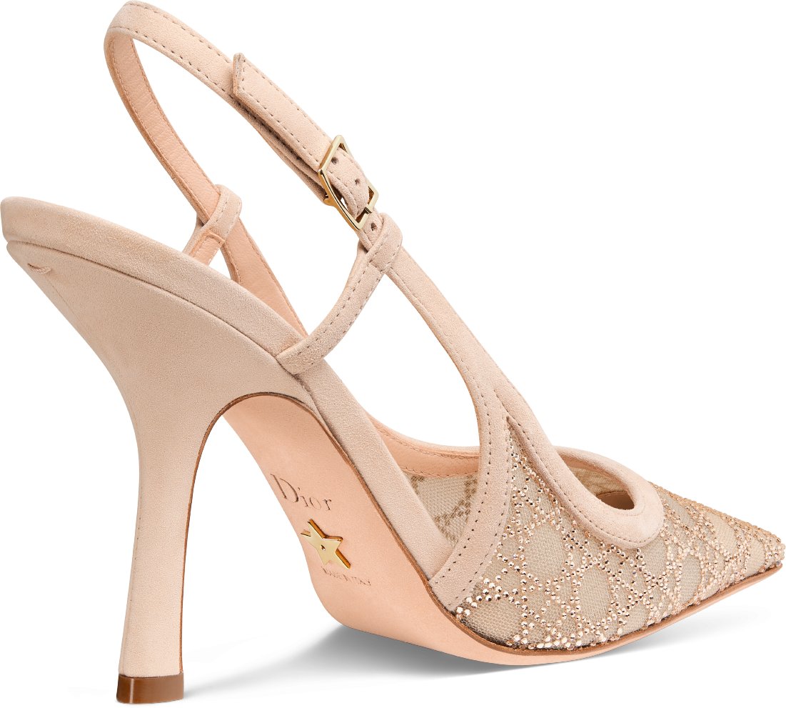 Dior Capture Slingback Pump Transparent Mesh with Strass Cannage Motif ...