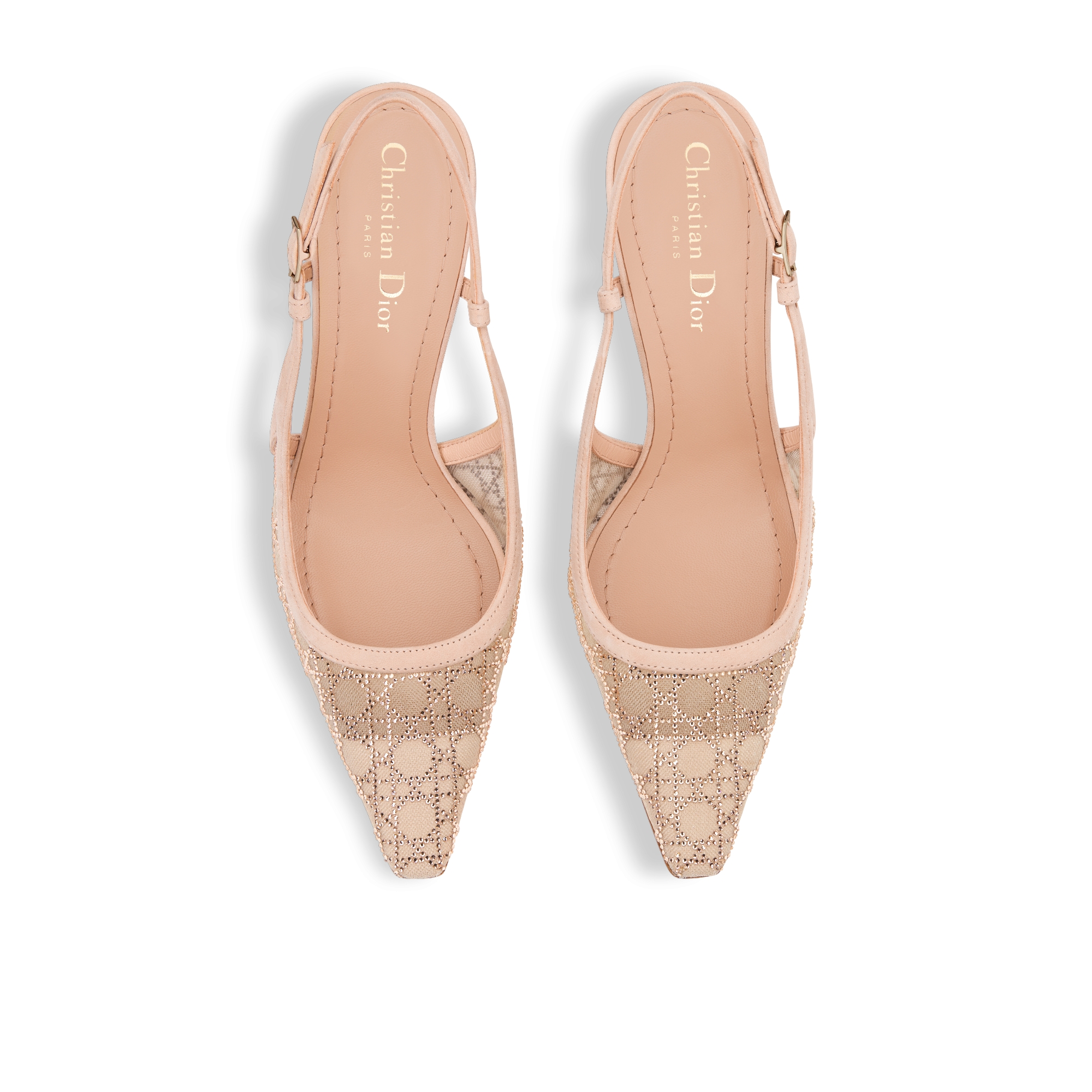 Dior Capture Slingback Pump Transparent Mesh with Strass Cannage Motif ...