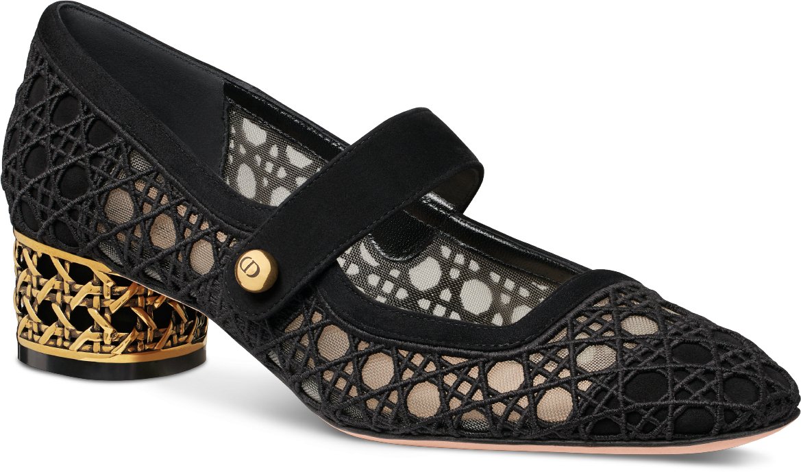 Dior Icon 高跟鞋 透視網眼布綴以黑色 Cannage 藤格紋圖案刺繡和絨面山羊皮 | DIOR