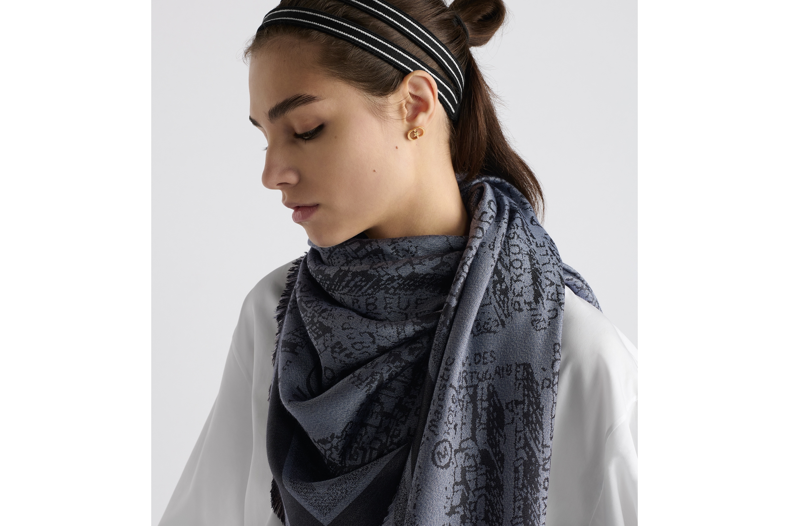 Chal Plan de Paris Seda y lana en azul denim y negro | DIOR