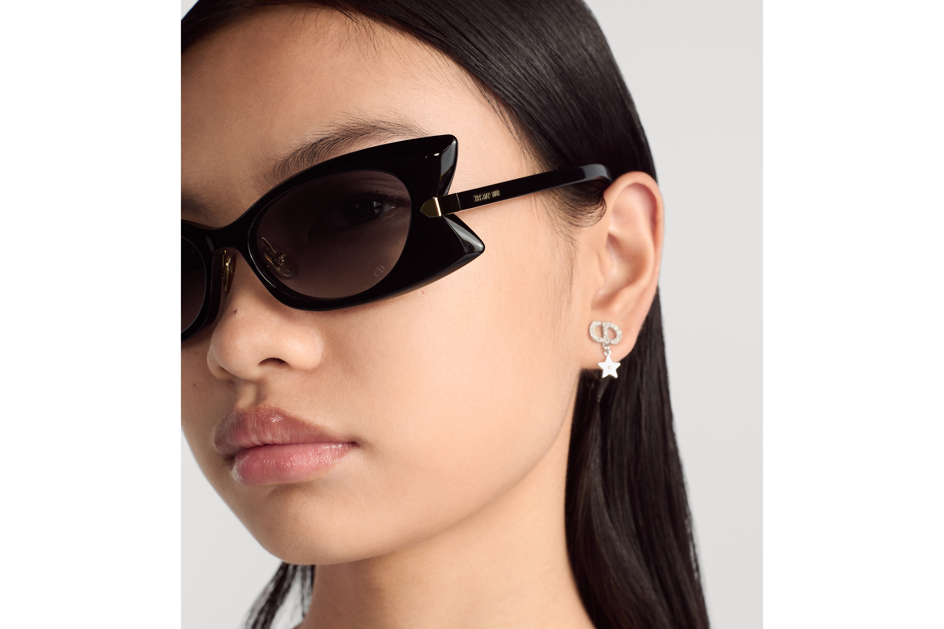 DiorButterfly S2F Black Rectangular Sunglasses | DIOR