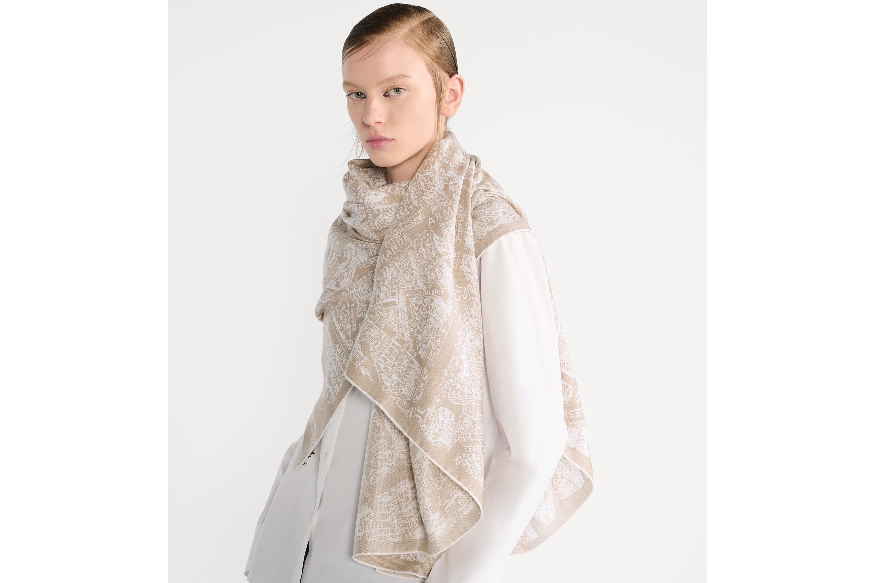 Plan de Paris Shawl Deep Beige and White Cotton and Silk | DIOR