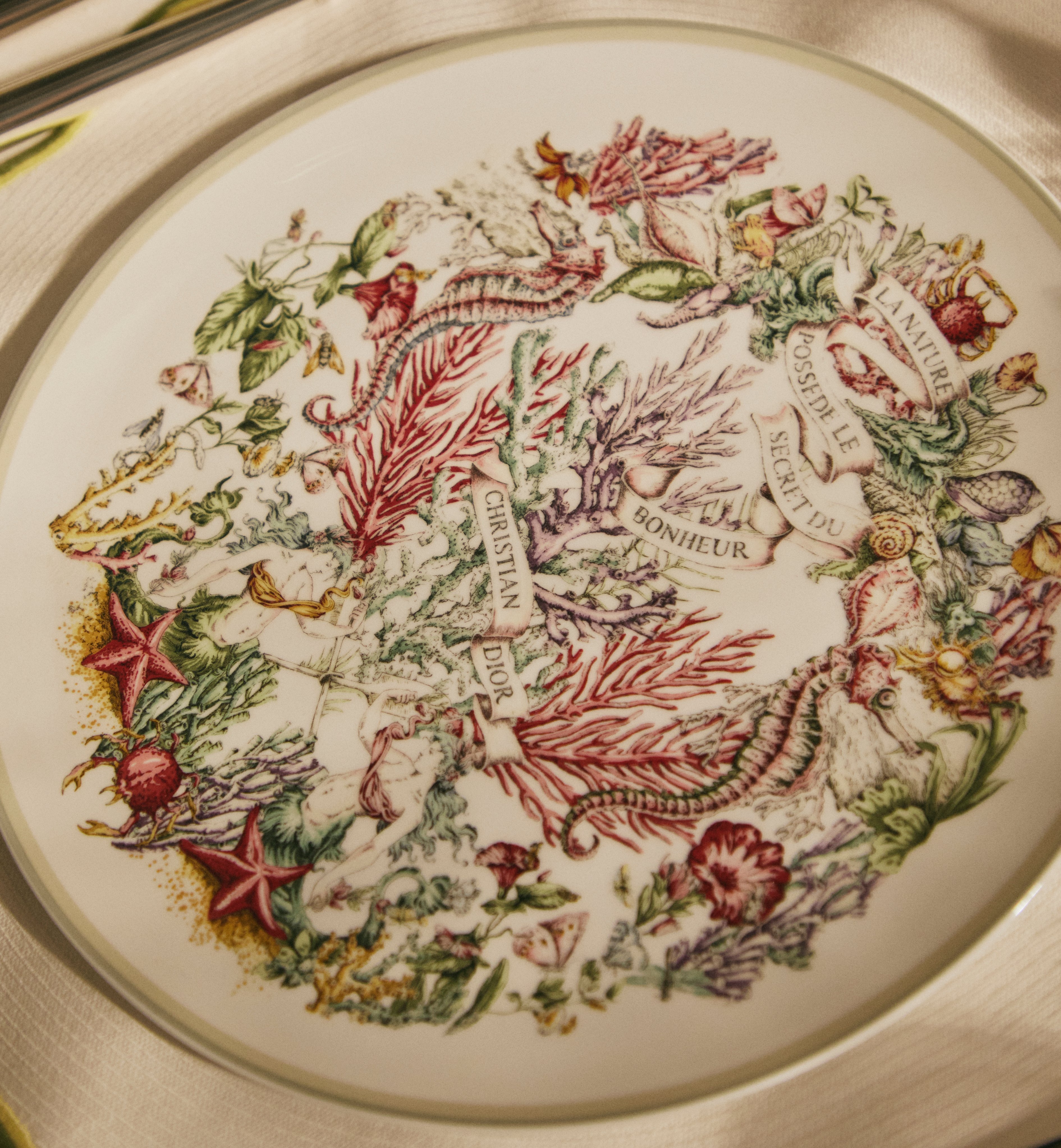 Assiette à dîner Porcelaine de Limoges blanche à motif Dior Cabinet de ...