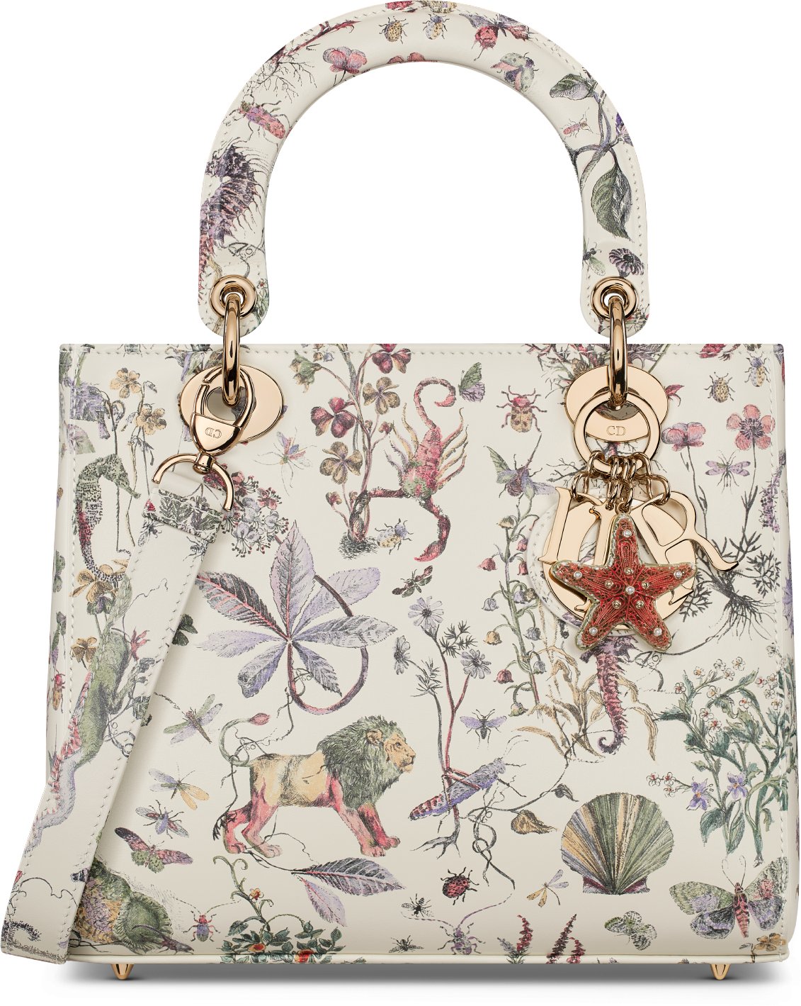 Lady Dior bags - Women's Designer Bags | DIOR