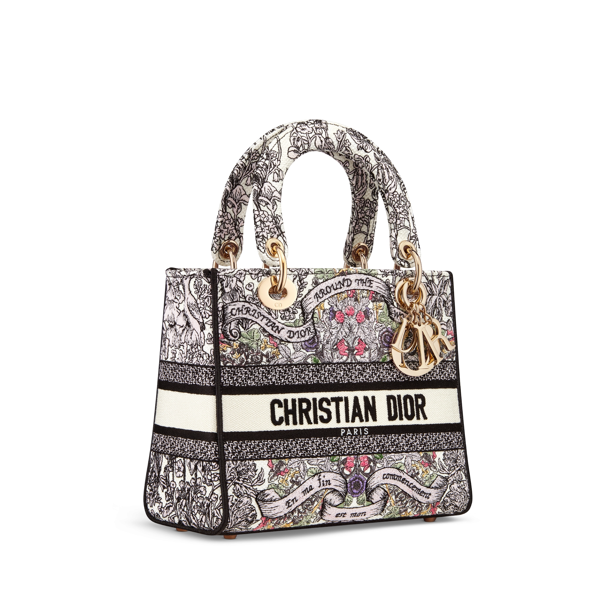 Sac Lady D-Lite Medium Broderie couleur latte à motif Dior Around The ...