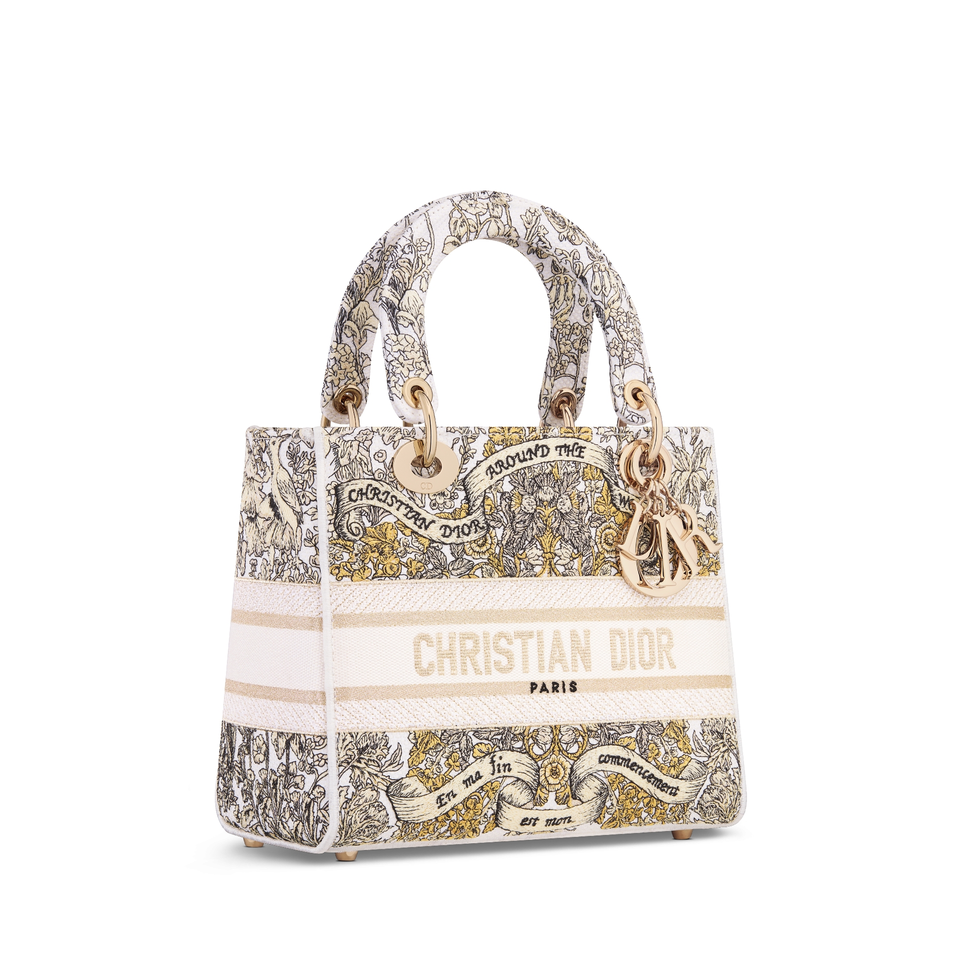 Medium Lady D-Lite Bag Latte Embroidery with Gold-Tone Dior Around the ...