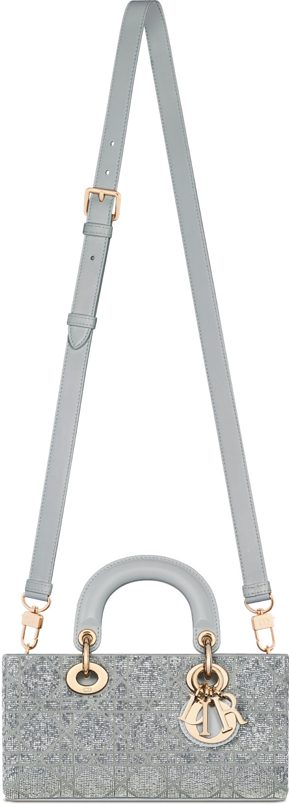 Small Lady D-Joy Bag Metallic Silver-Tone Microbead-Embroidered Cotton ...